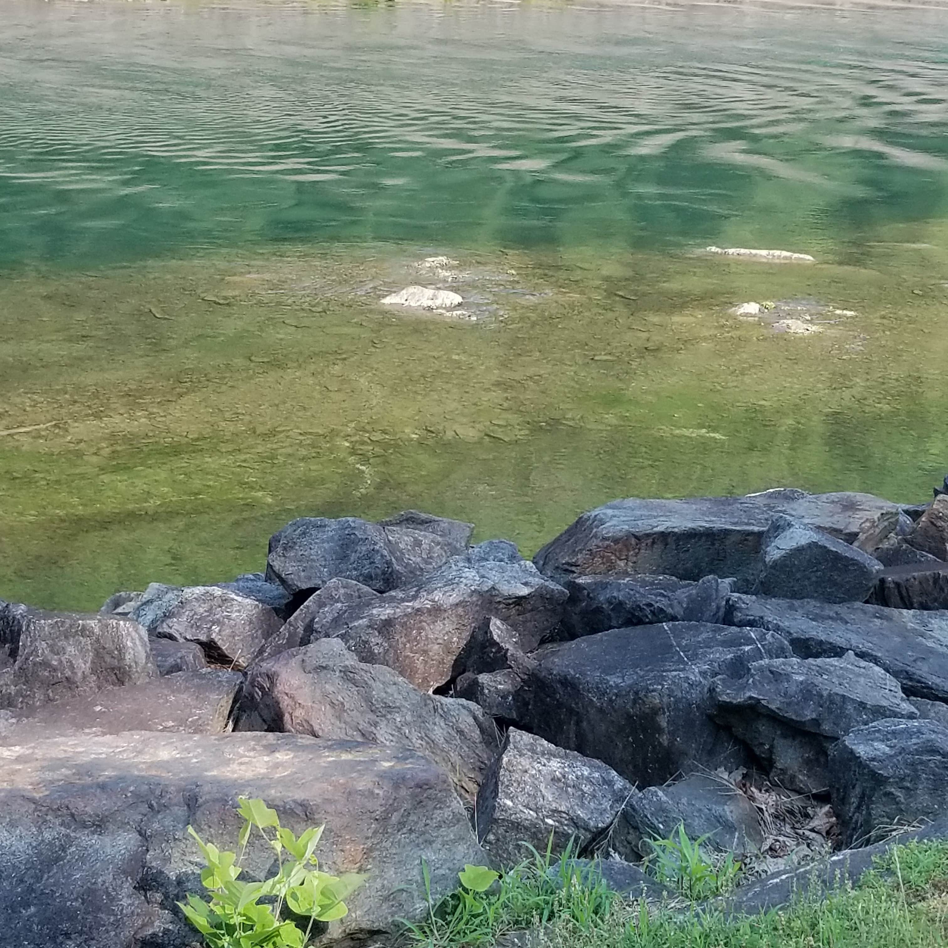 Fontana Village Resort and Campground | Fontana Dam, North Carolina