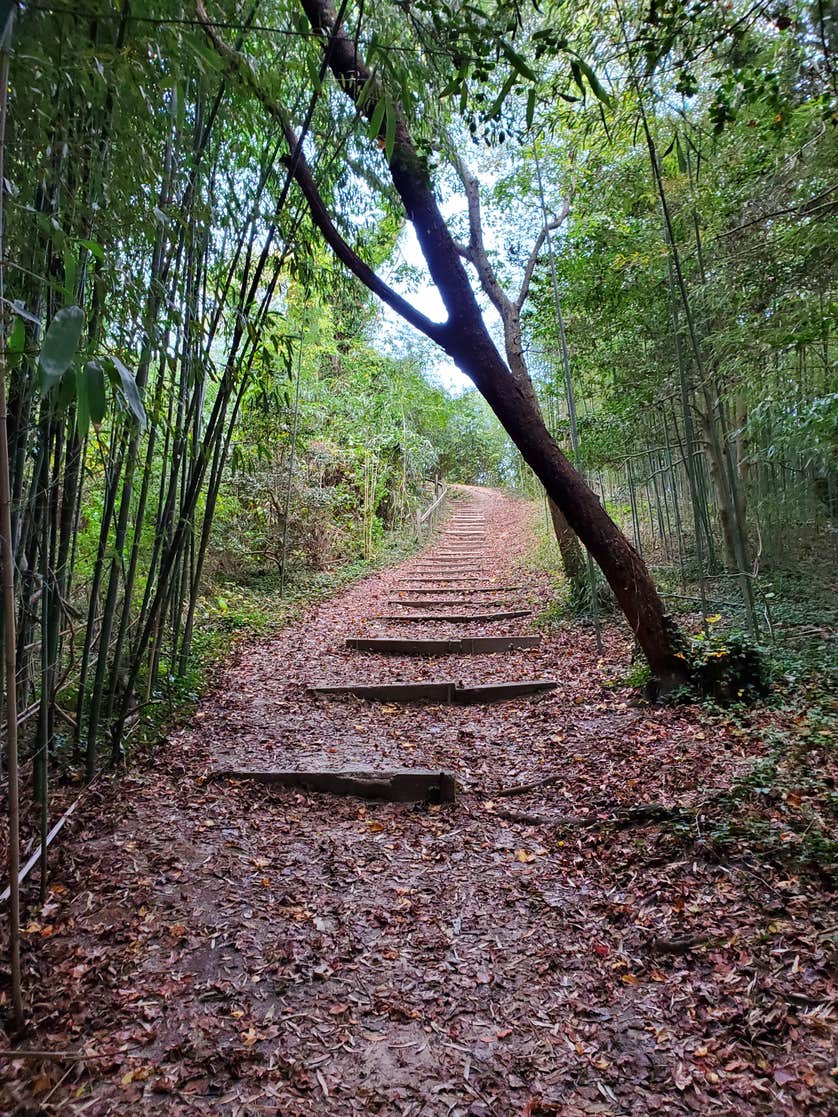 Matoaka Beach Cottages Camping | The Dyrt