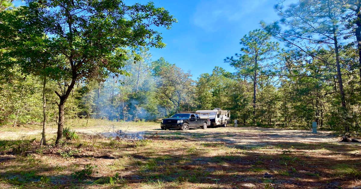 Woodsy Spring Haven Camping | Bell, Florida