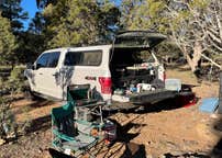 Coconino Rim Road Dispersed Camping Camping | The Dyrt