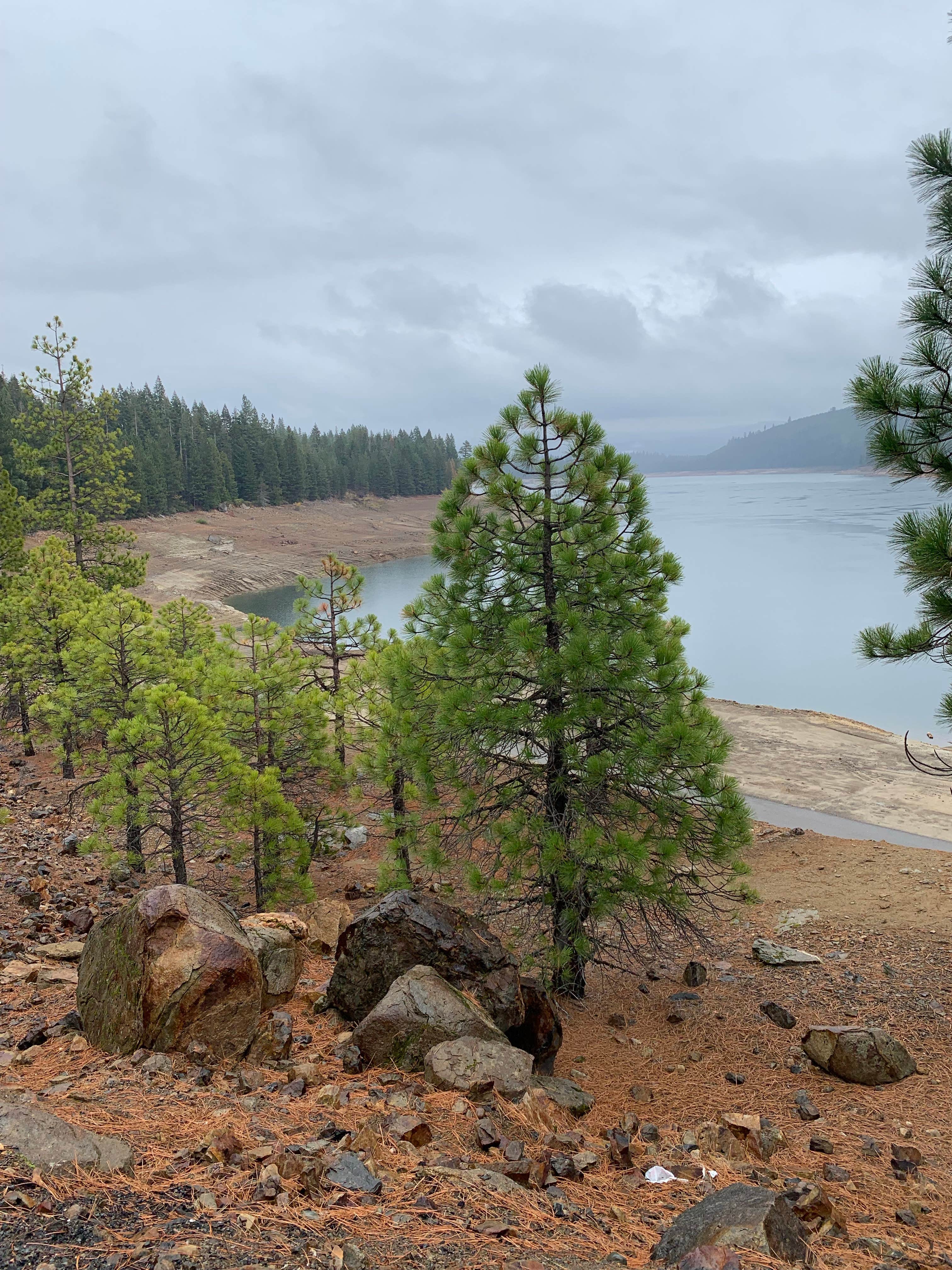 Union Valley Reservoir Dispersed Camping | Kyburz, California