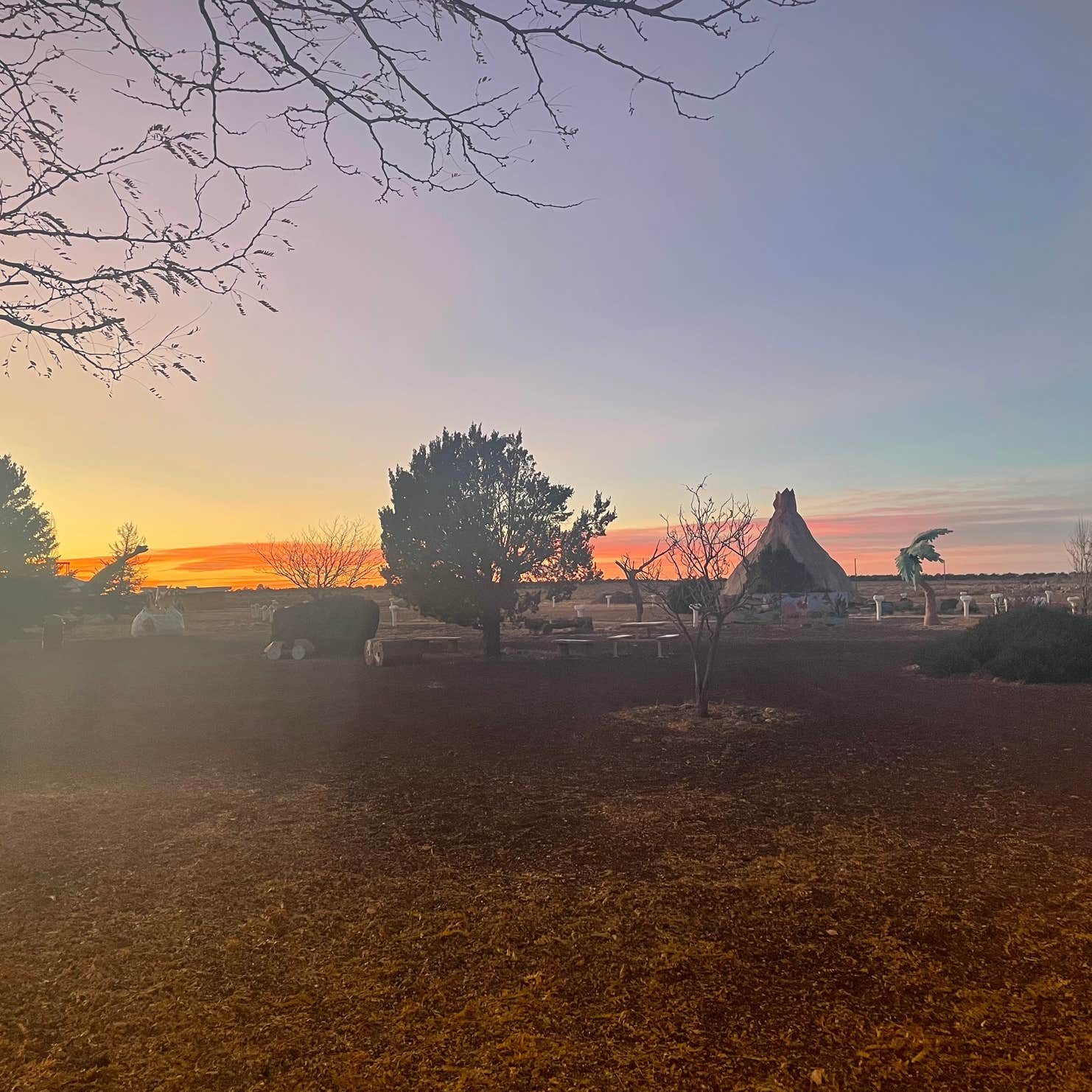 Raptor Ranch RV Park & Campground Camping | The Dyrt