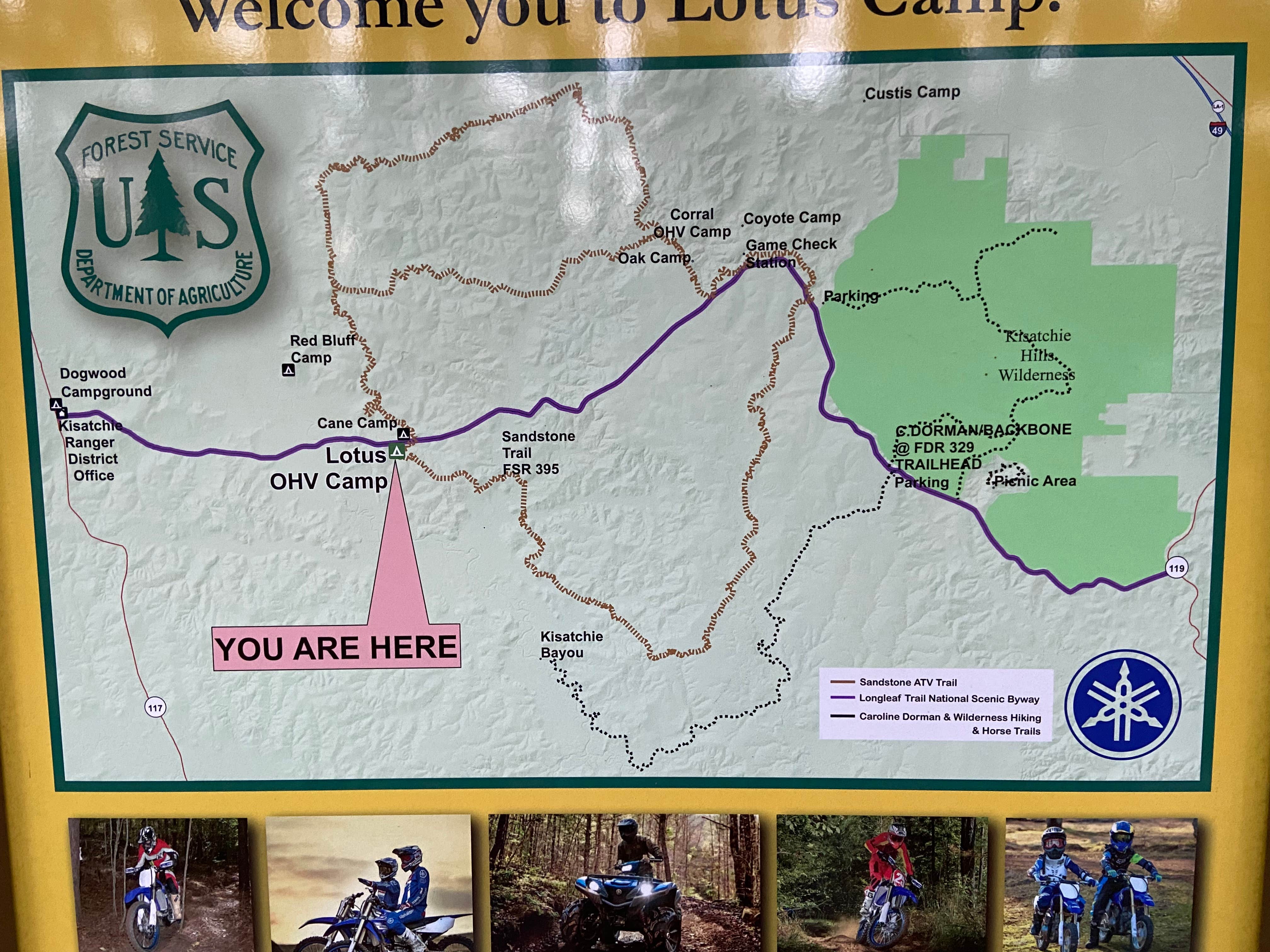 Lotus Camp | Provencal, LA