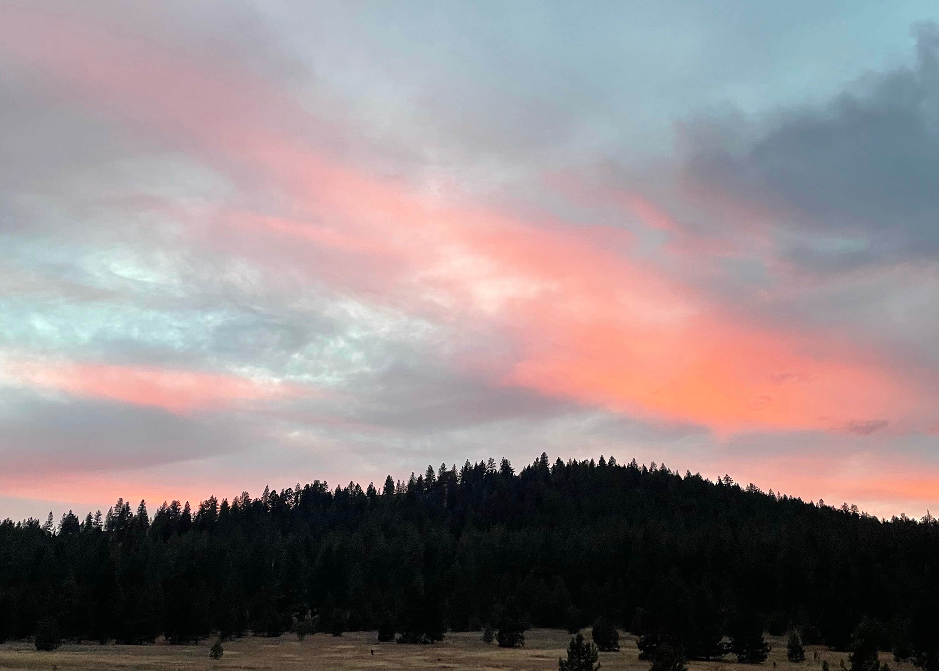 Blue Mountain Forest Rd 365 - Dispersed Camping | The Dyrt