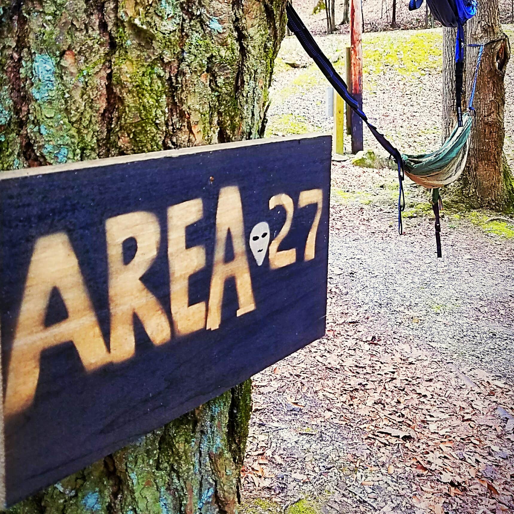 Kanawha State Forest Camping | The Dyrt