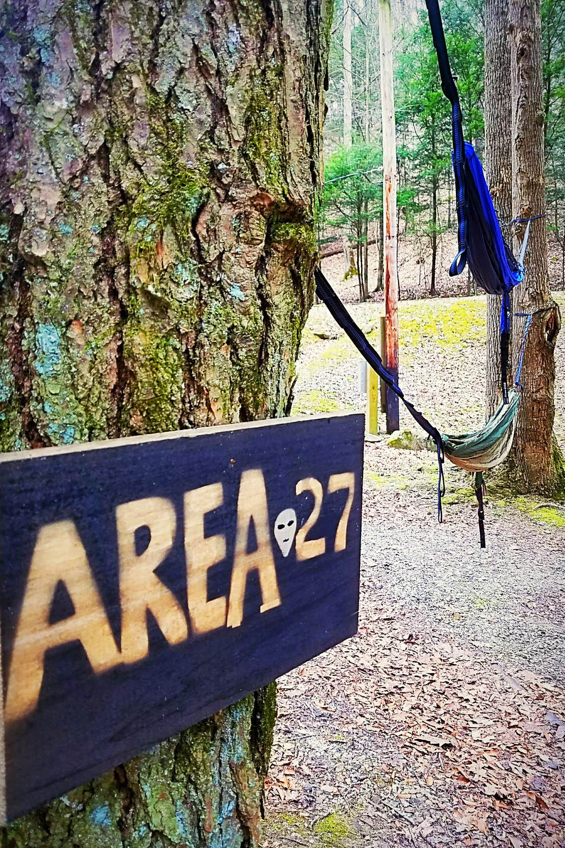 Kanawha State Forest Camping | The Dyrt