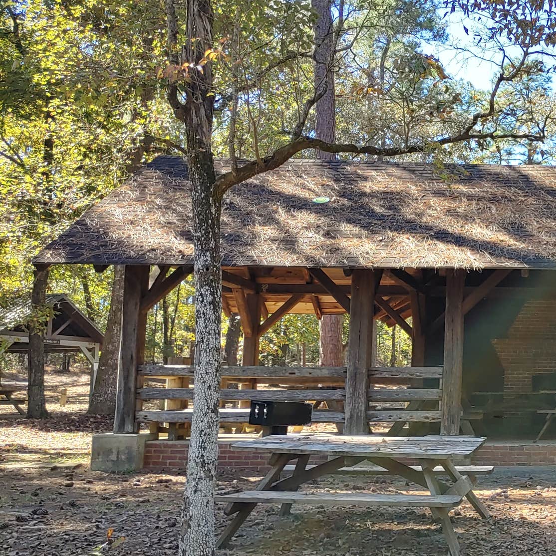 Barnwell State Park Campground | Blackville, SC