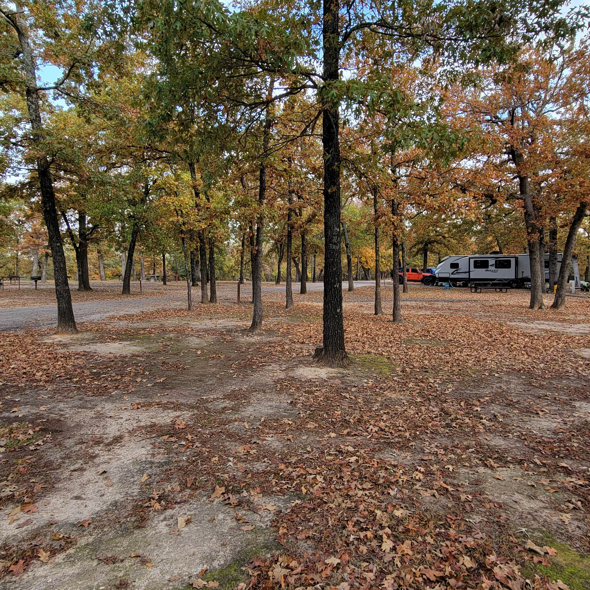 Pat Mayse West Camping | The Dyrt