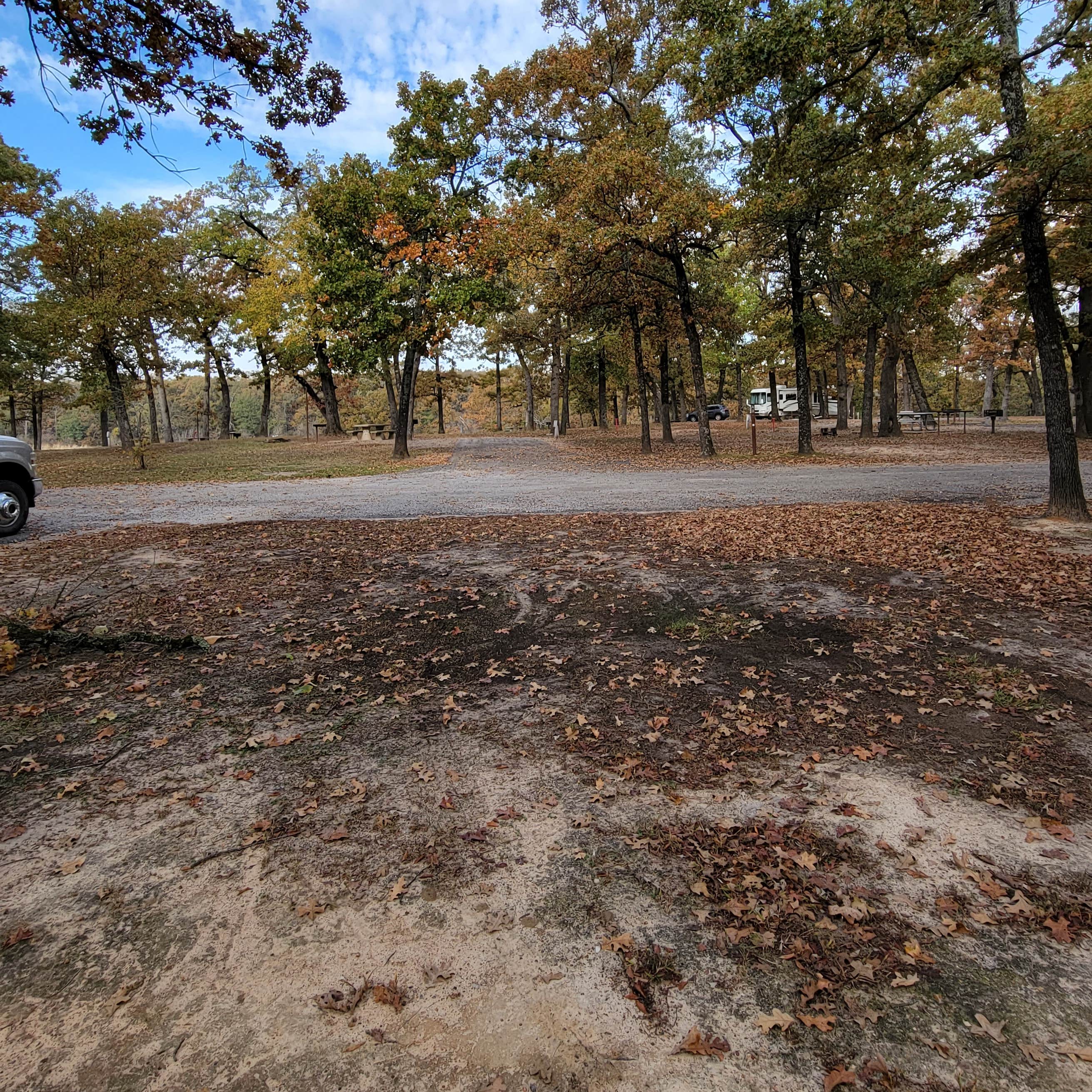 Pat Mayse West Camping | The Dyrt