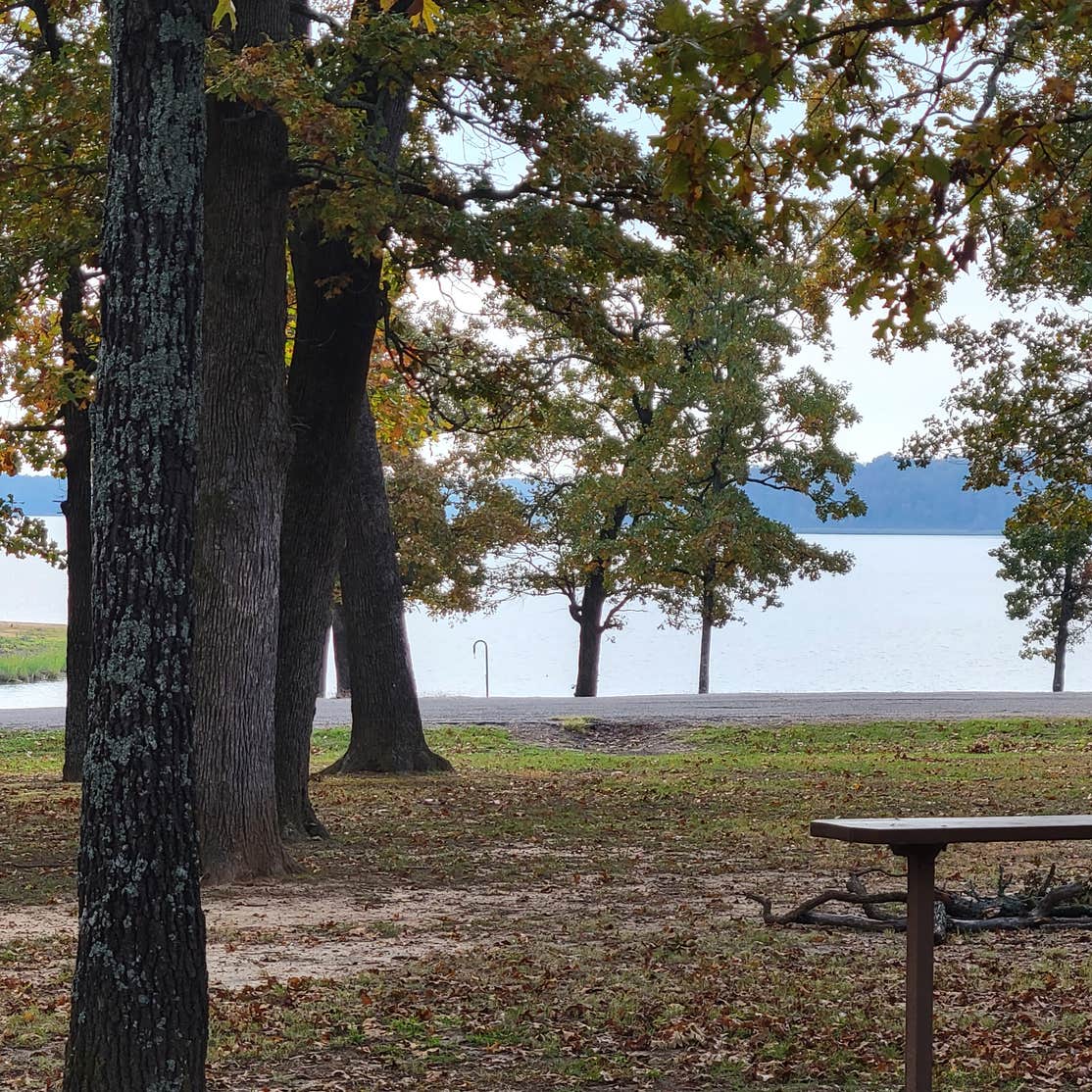 Pat Mayse West Camping | The Dyrt