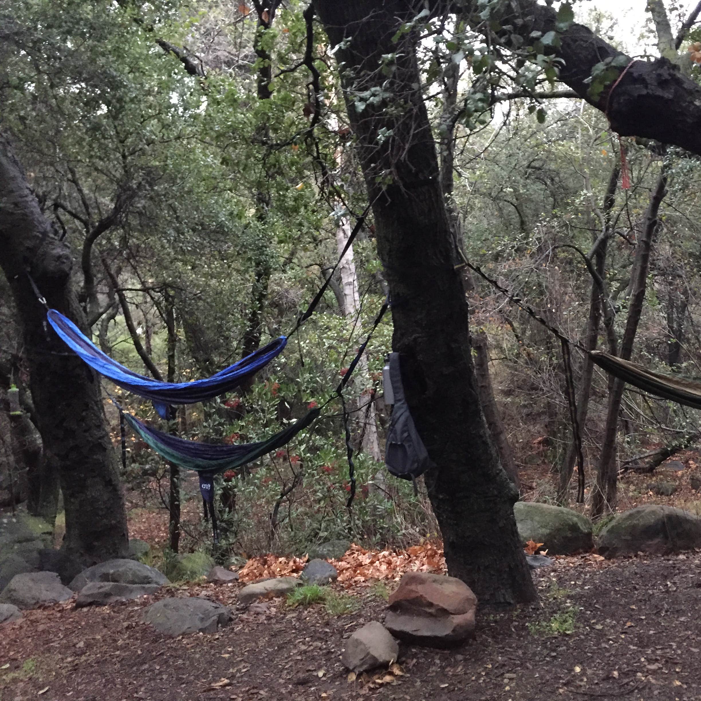 Wheeler Gorge Campground | Ojai, CA