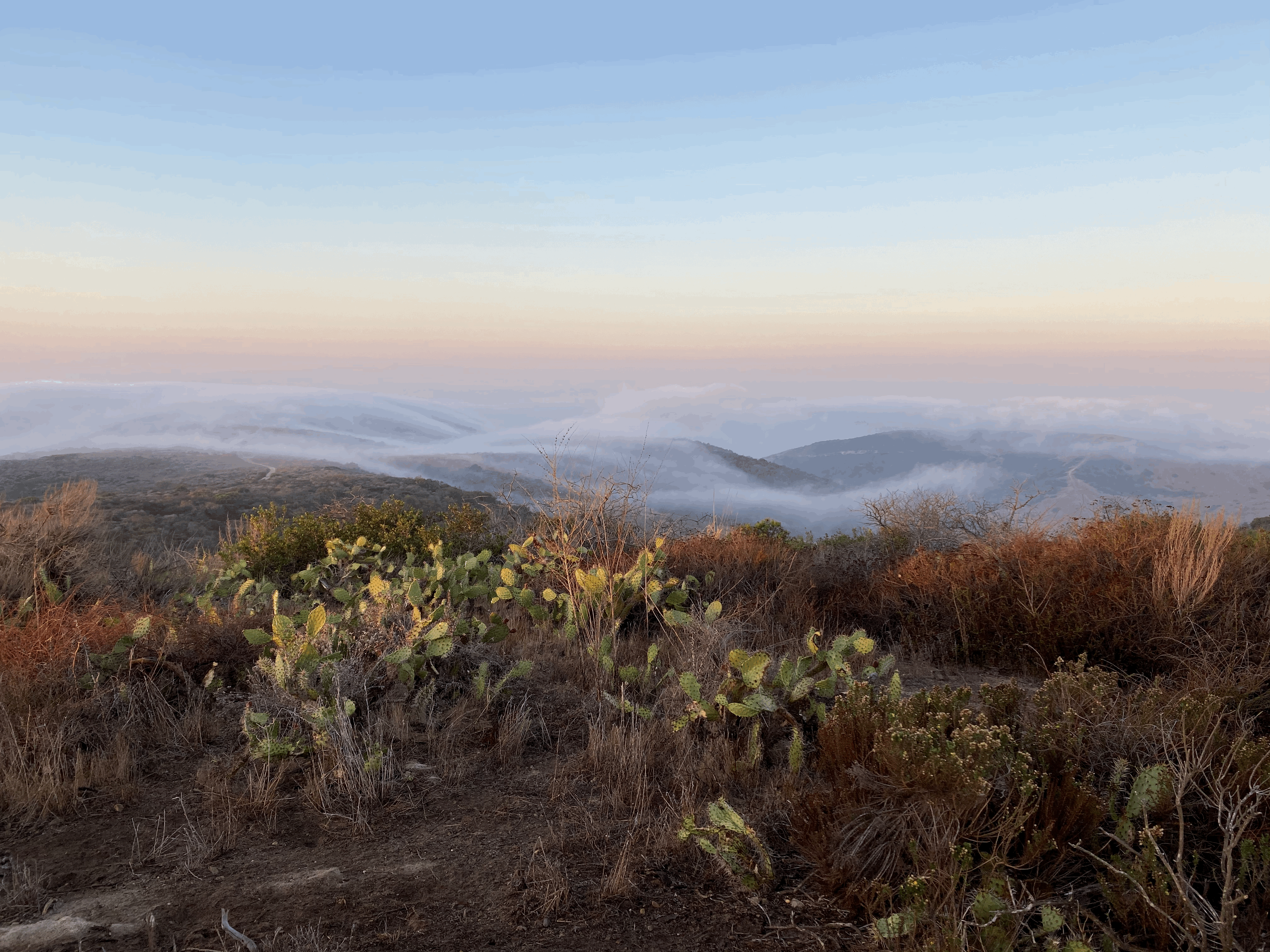 Moro Campground - Crystal Cove State Park Camping | The Dyrt