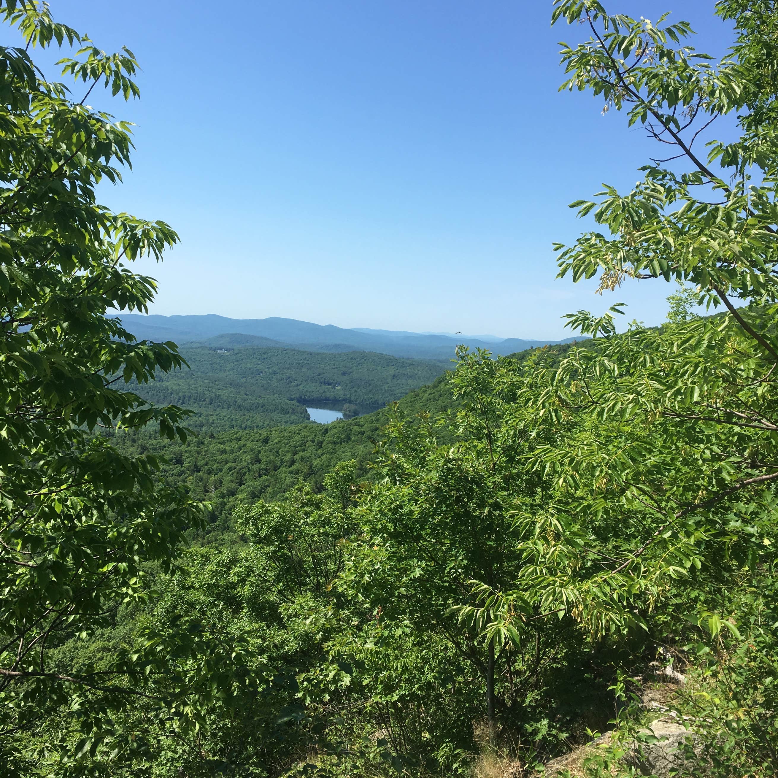 Sebago Lake State Park Camping | Naples, ME | The Dyrt