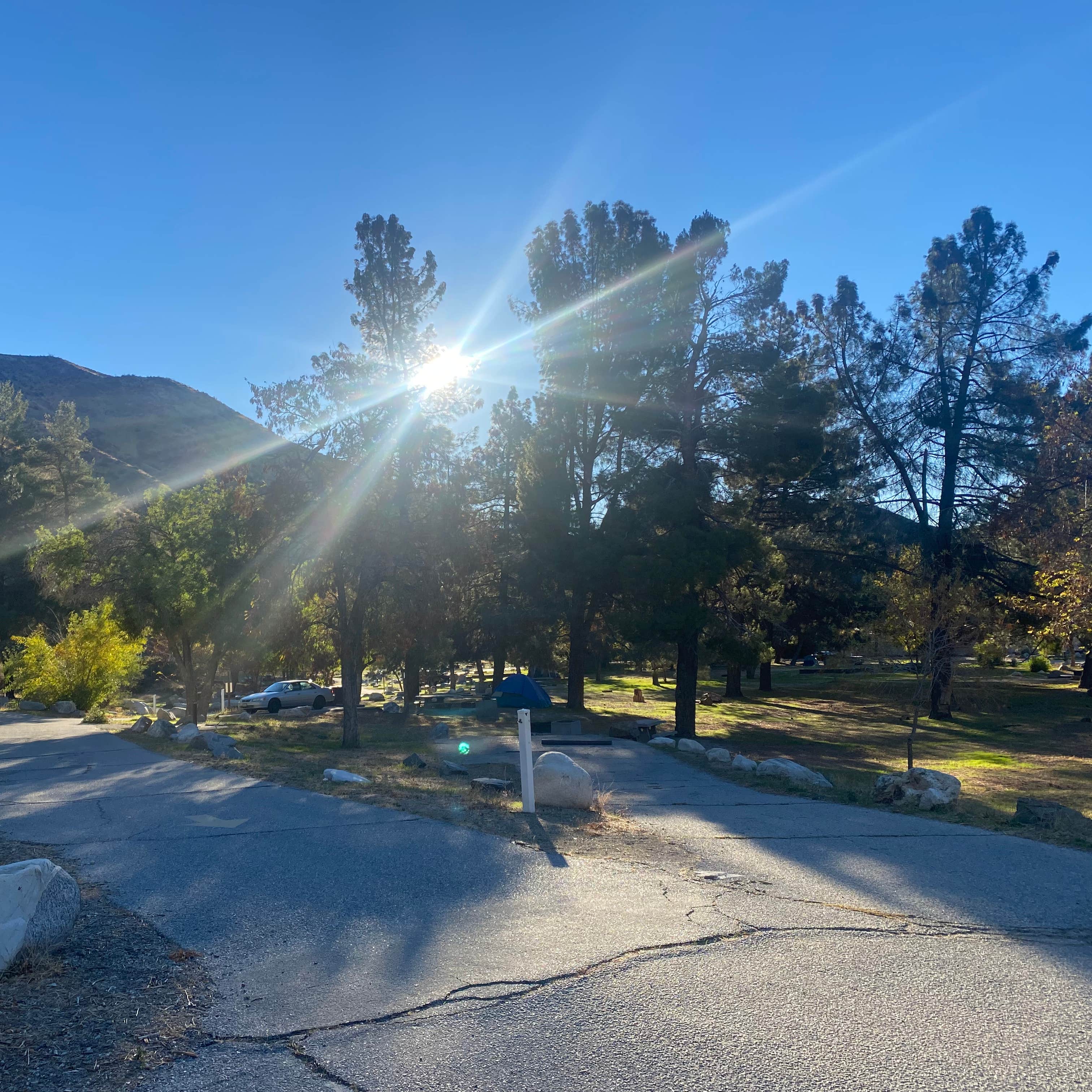 Applewhite Campground (Ca) — San Bernardino National Forest | Lytle ...