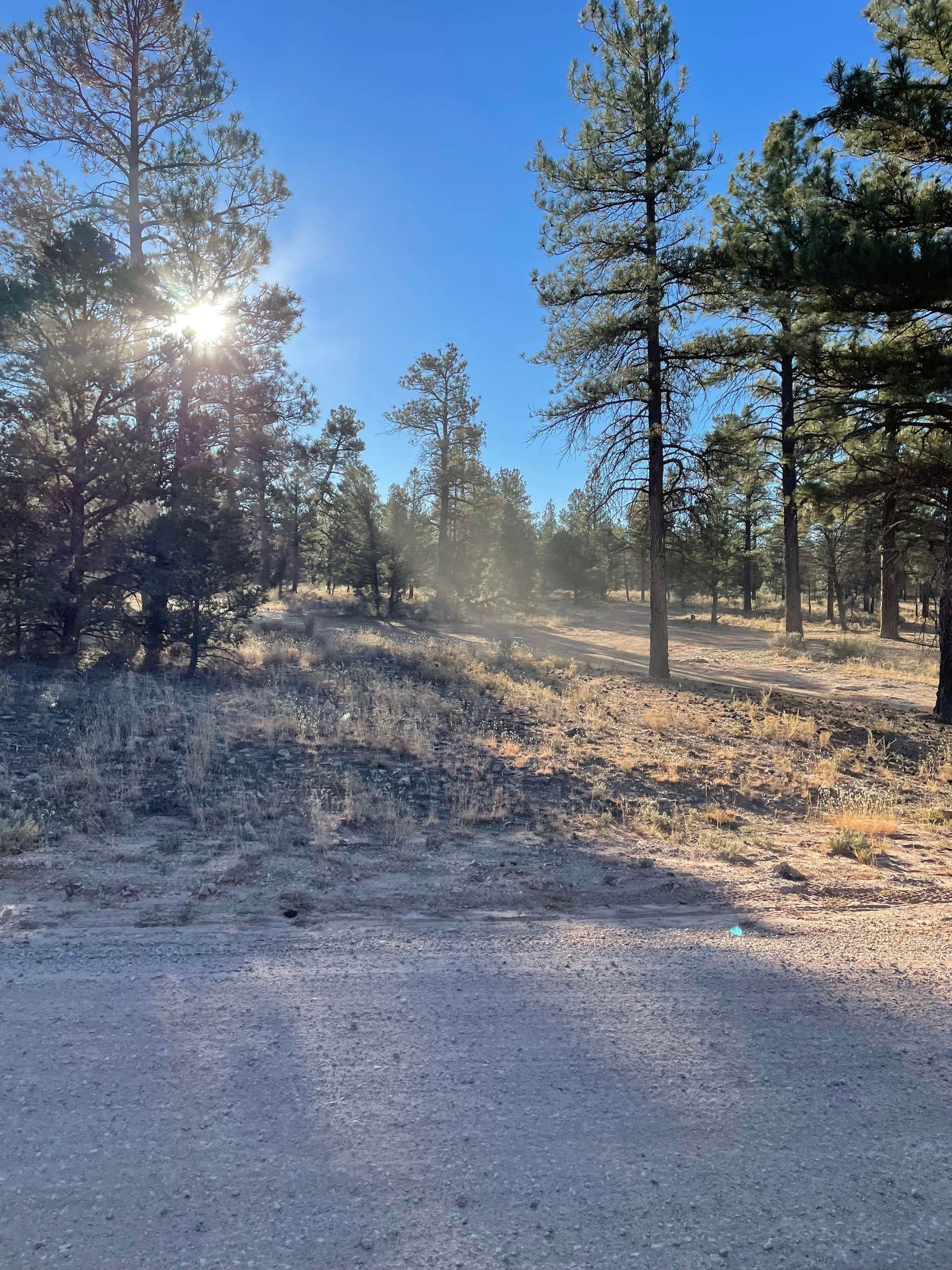 Forest Service Road 302 Dispersed Camping | The Dyrt