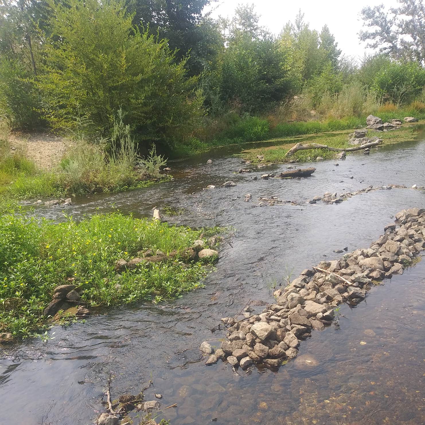 Sycamore Ranch RV Park Camping | The Dyrt