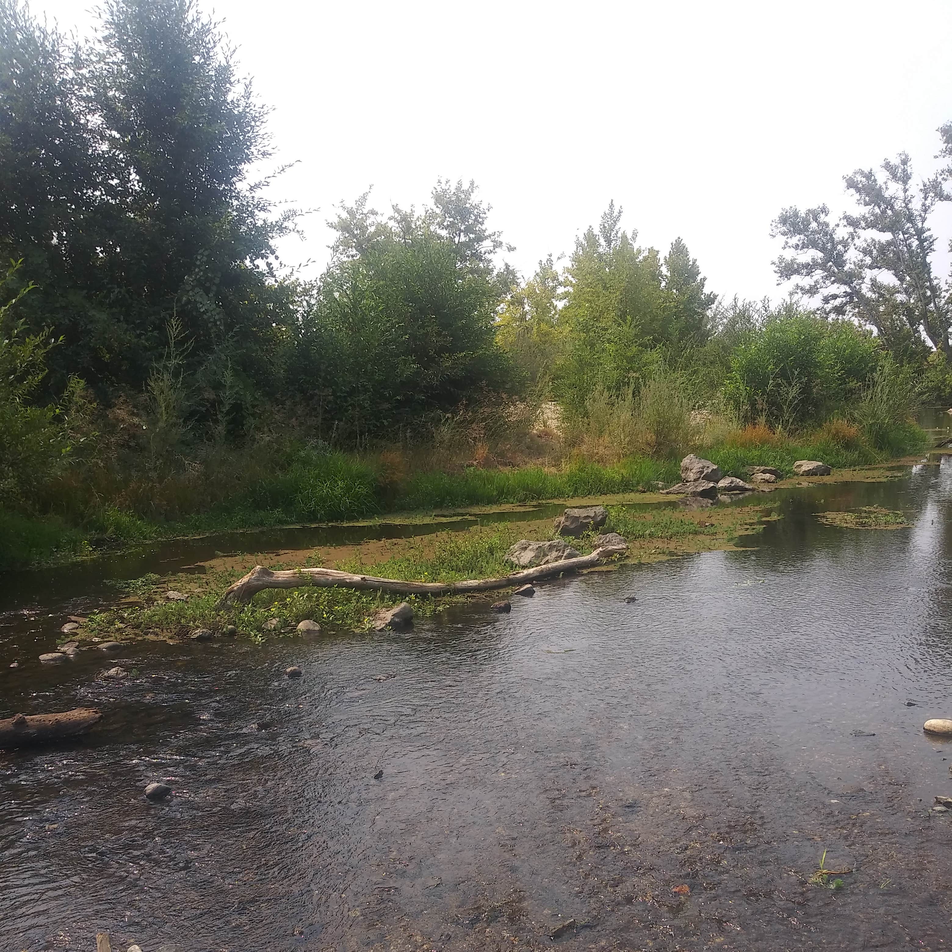 Sycamore Ranch RV Park Camping | The Dyrt