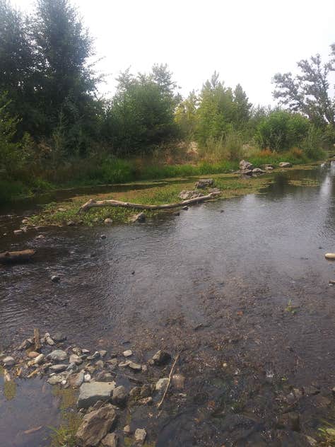 Sycamore Ranch RV Park Camping | The Dyrt