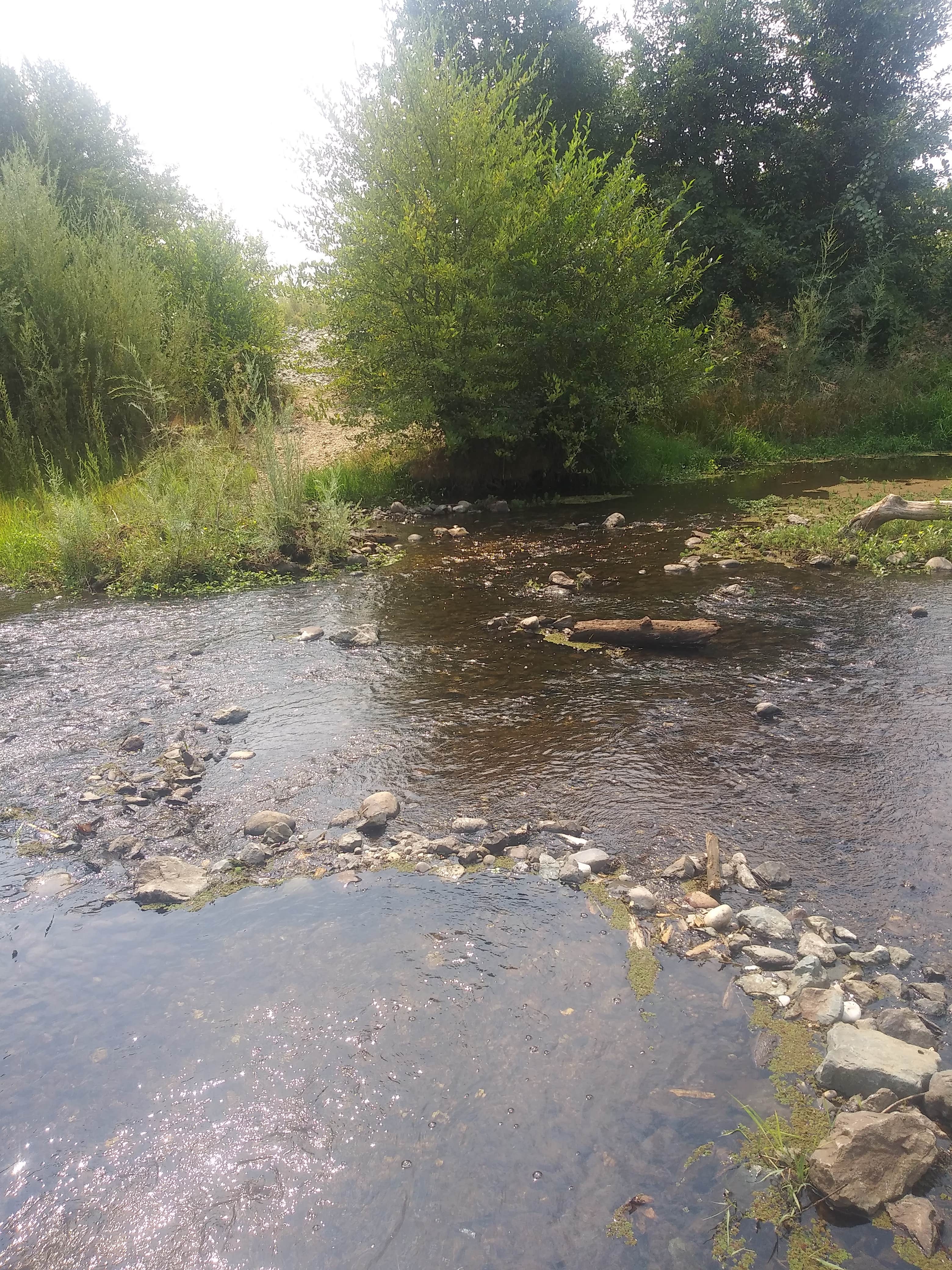 THE 10+ BEST Campgrounds near Yuba City, CA