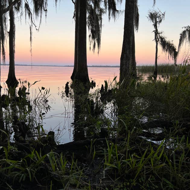 Bayard Conservation Area Camping | Green Cove Springs, Florida