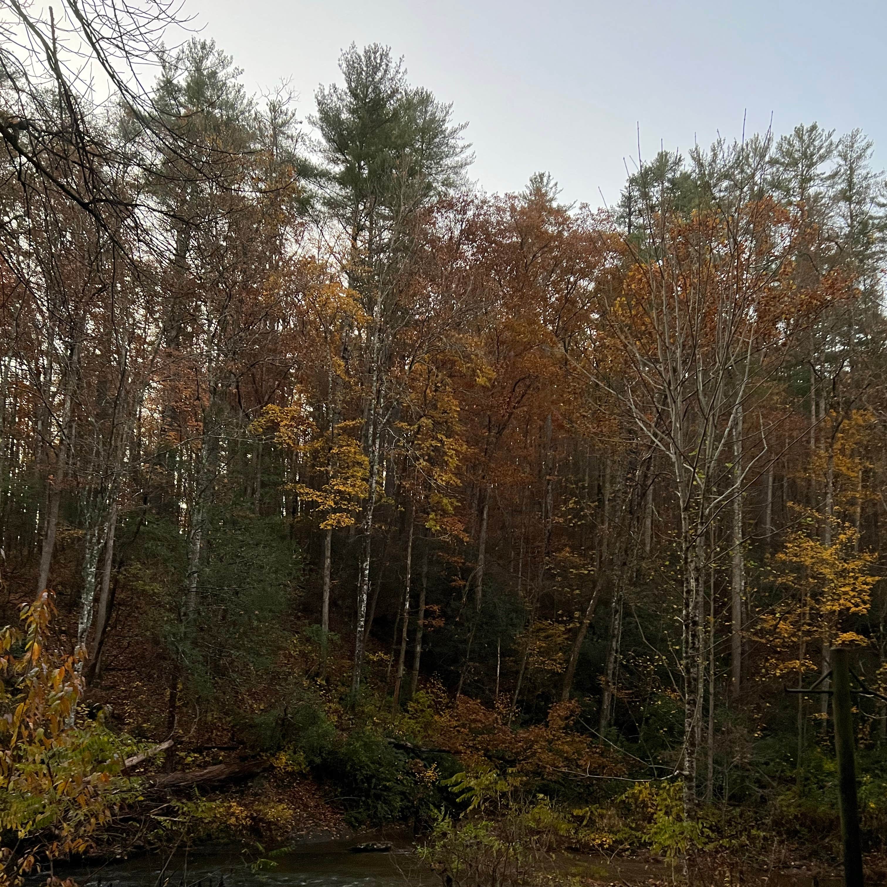 Tallulah River Campground — Chattahoochee Oconee National Forest ...