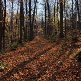 Cherry Mountain Road Dispersed Camping | The Dyrt