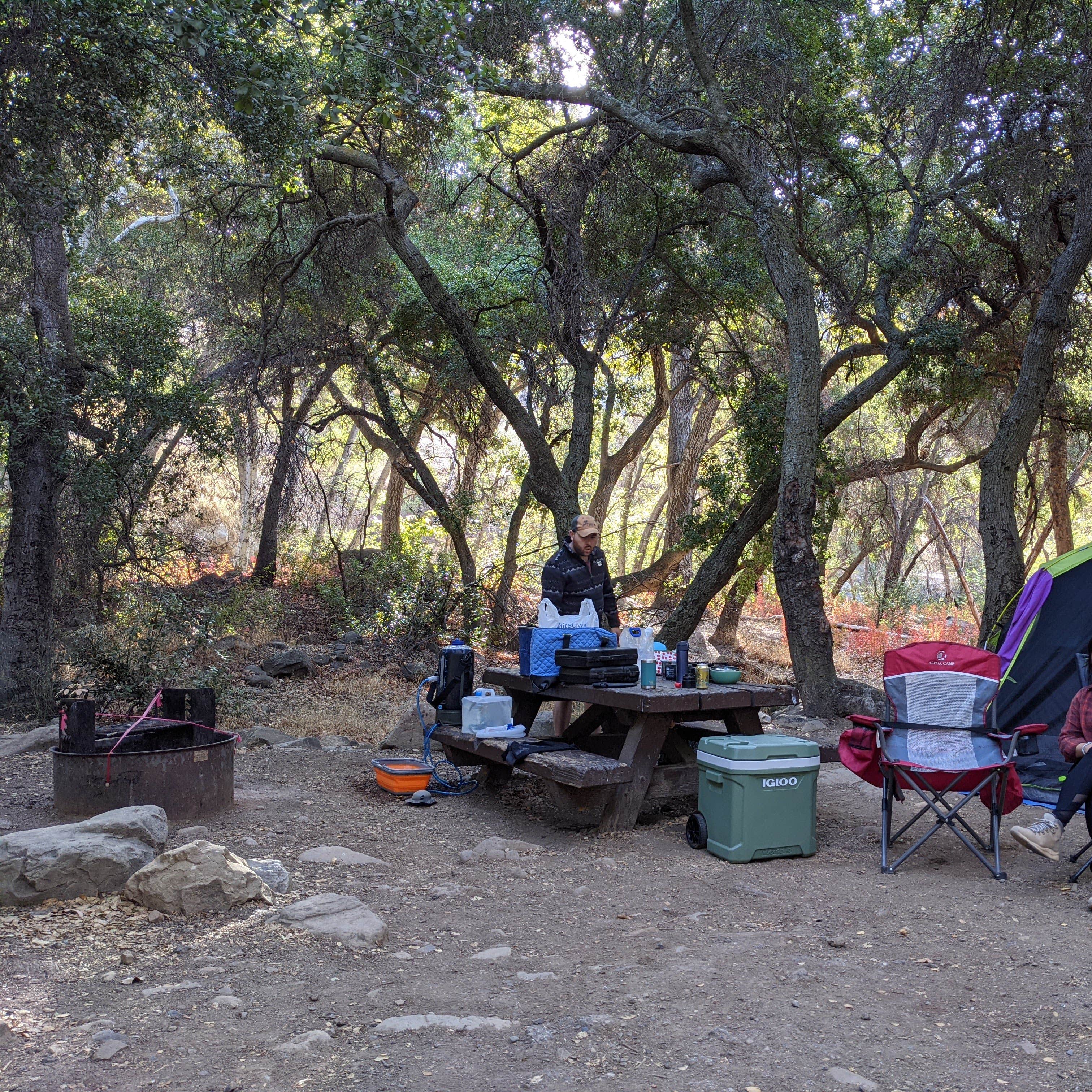 Wheeler Gorge Campground | Ojai, California