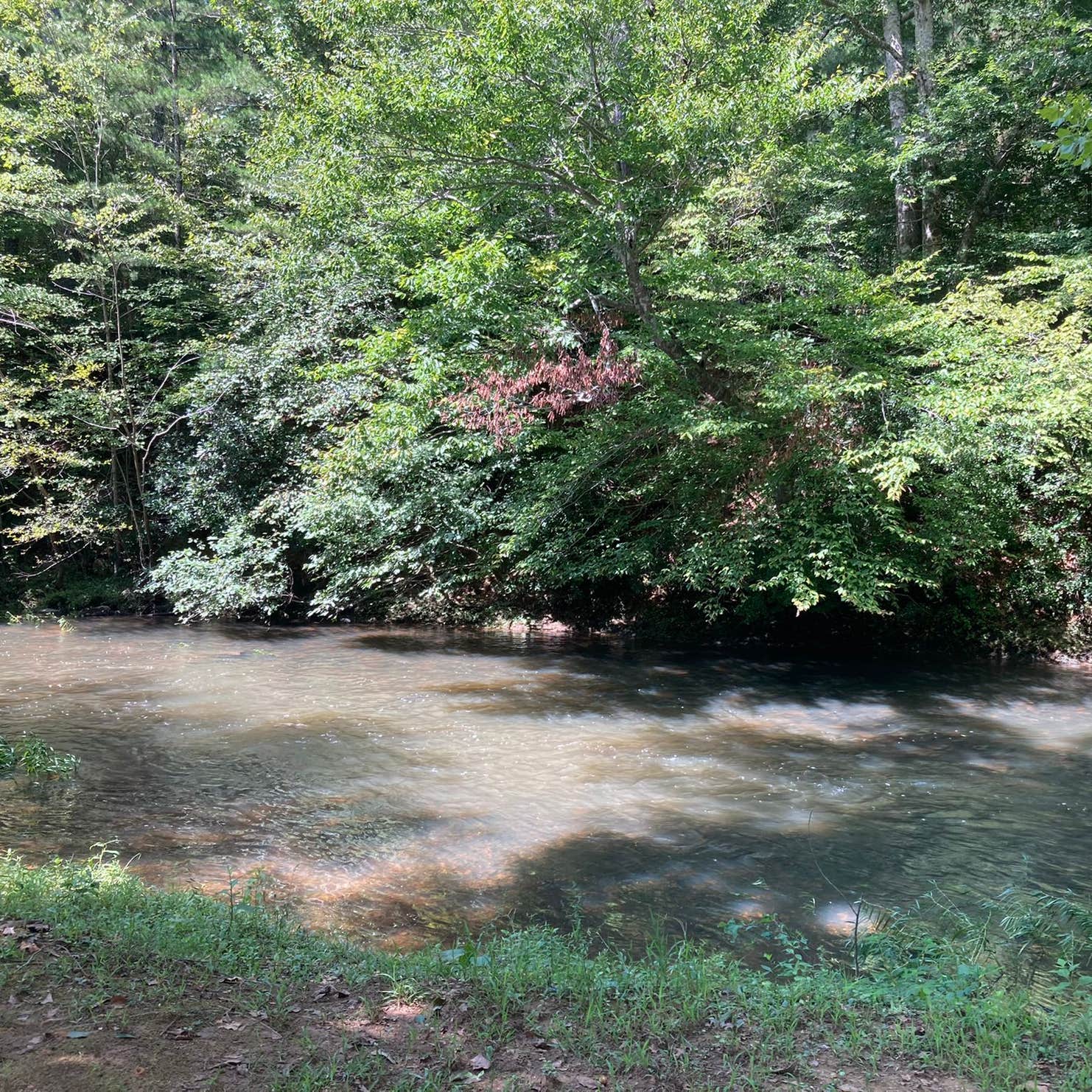 Chief Ladiga Trail Campground | Piedmont, Alabama