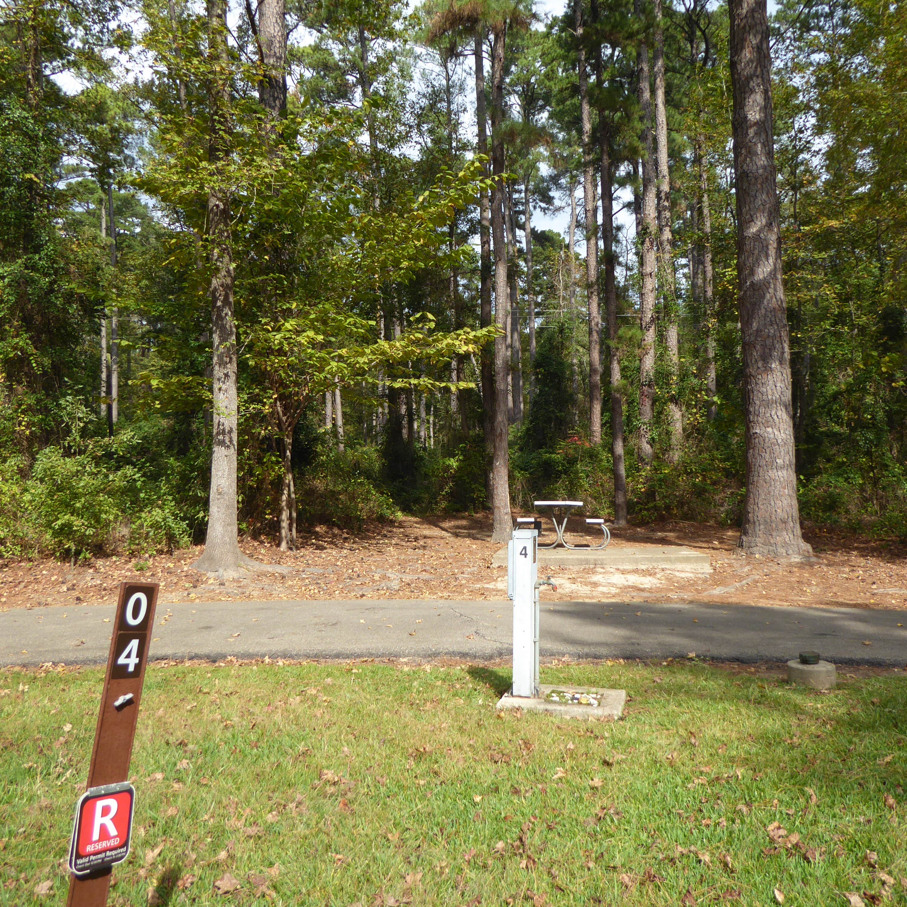 Daingerfield State Park Campground | Daingerfield, Texas