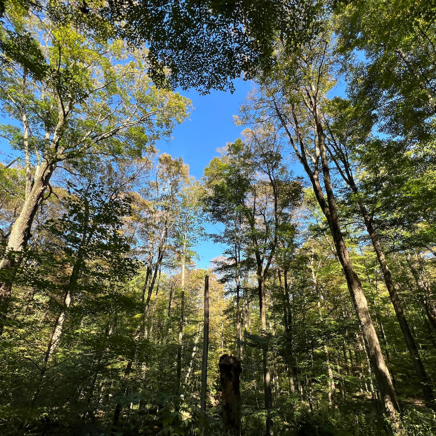 Malabar Farm State Park Campground | Butler, Ohio