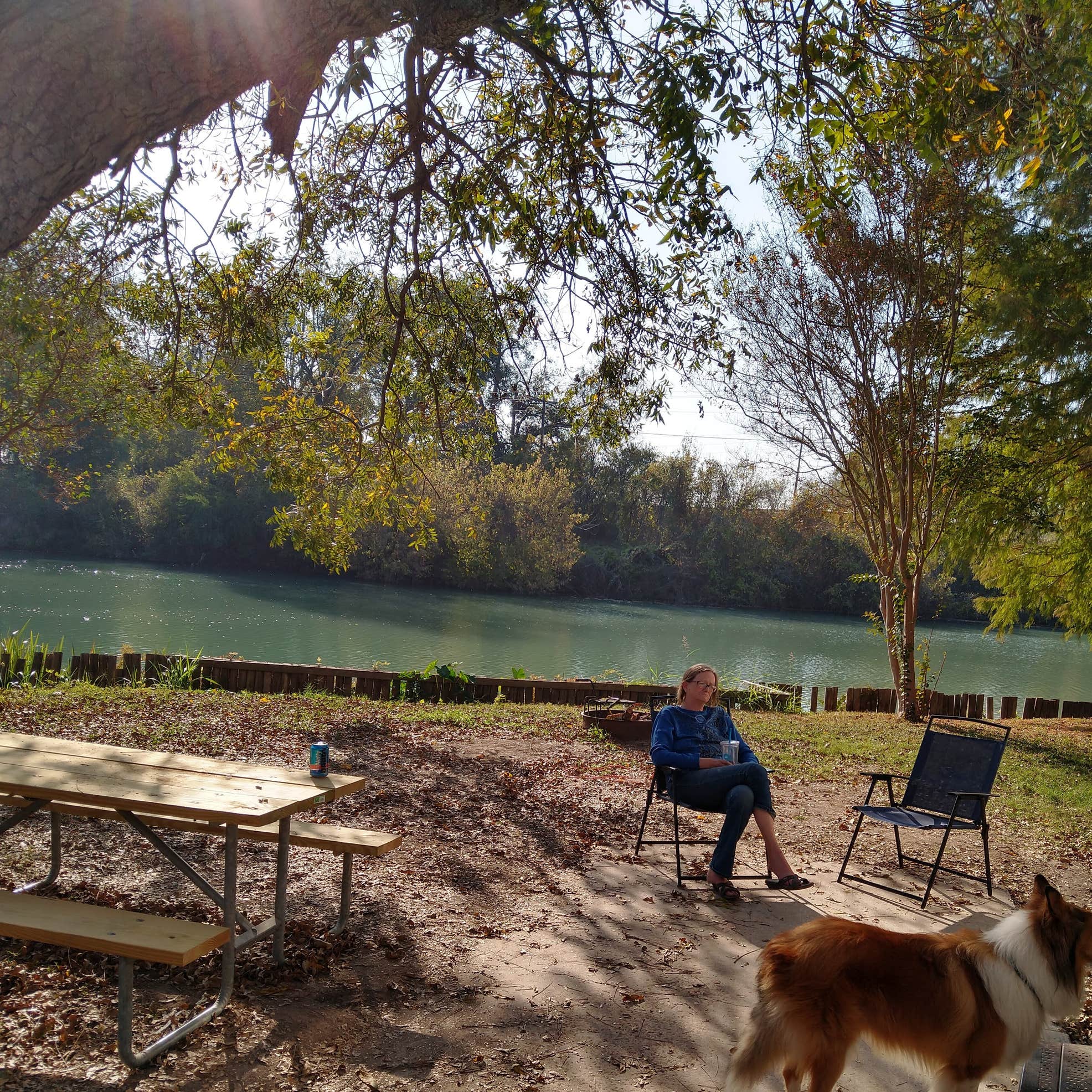 Old Settlers RV Park Camping | The Dyrt