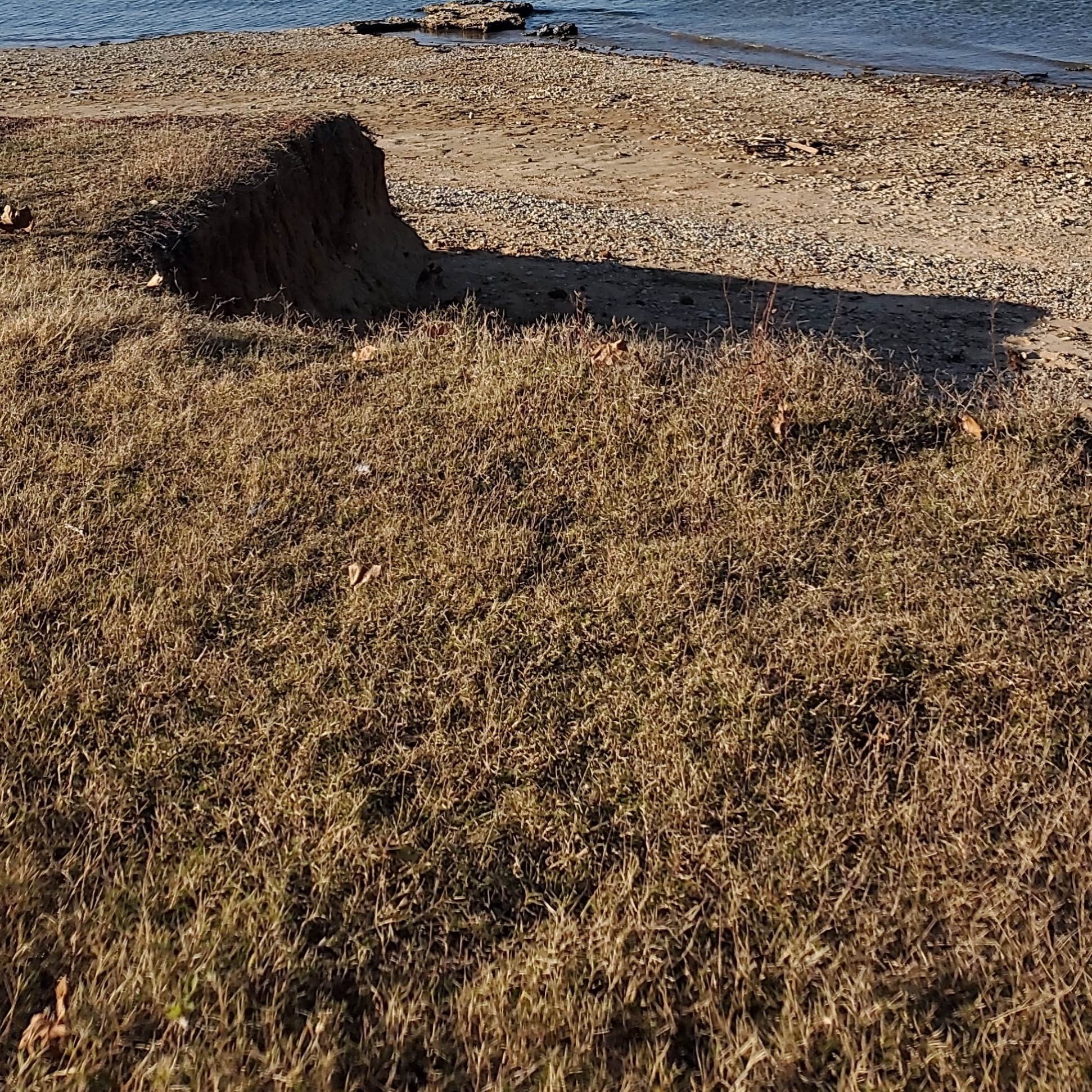 Meadowmere Park & Campground Camping | The Dyrt