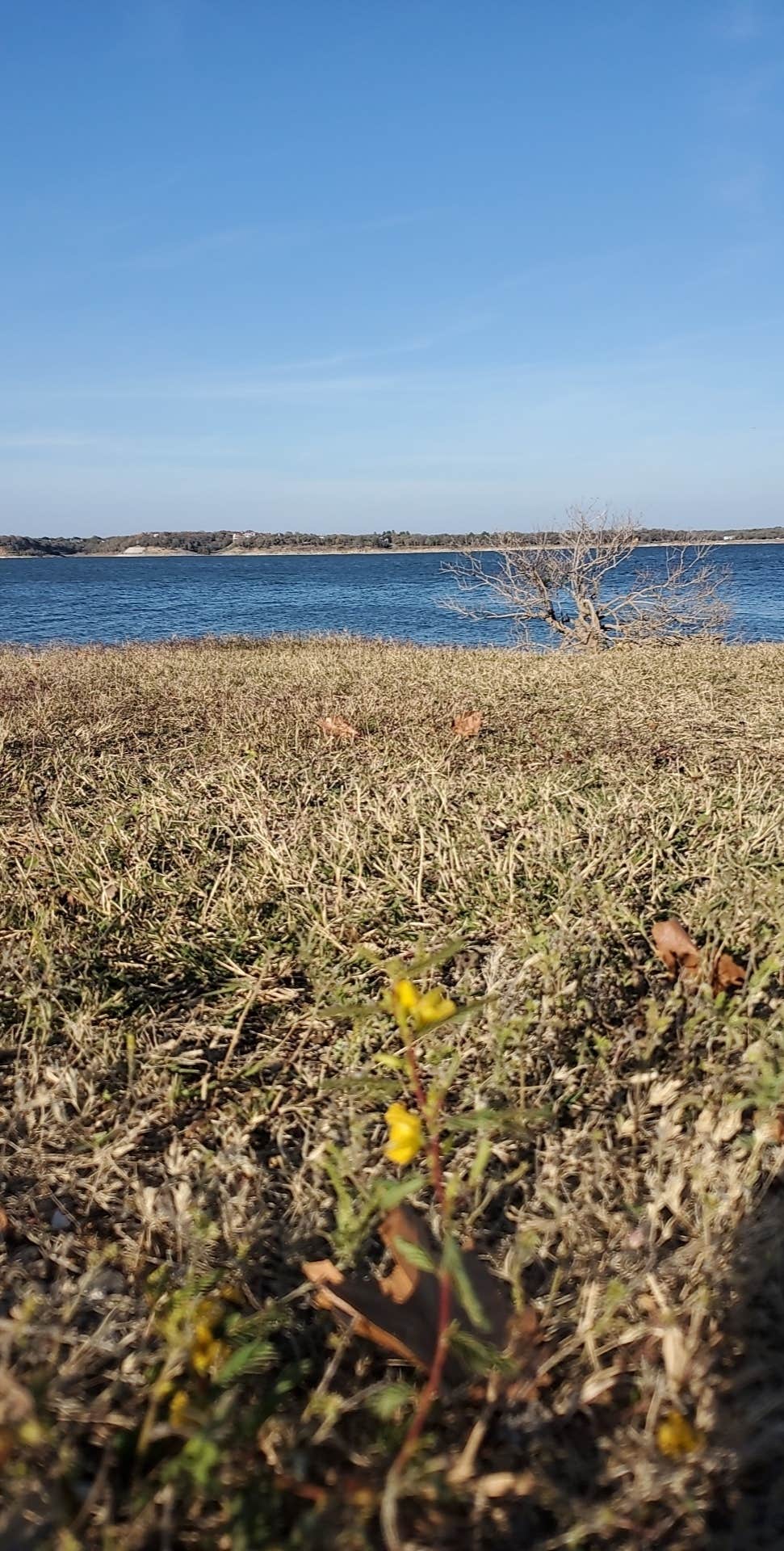 Meadowmere Park & Campground Camping | The Dyrt