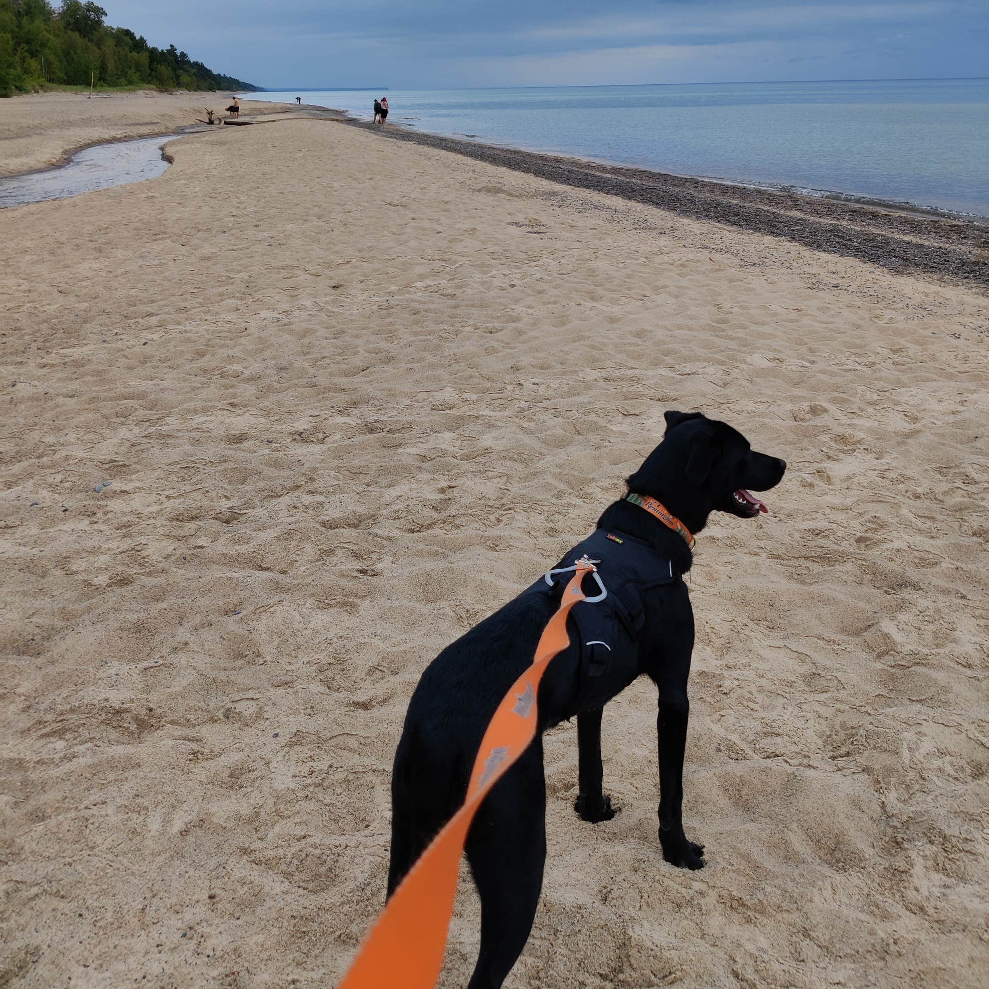 Muskallonge Lake State Park Campground | Grand Marais, Michigan