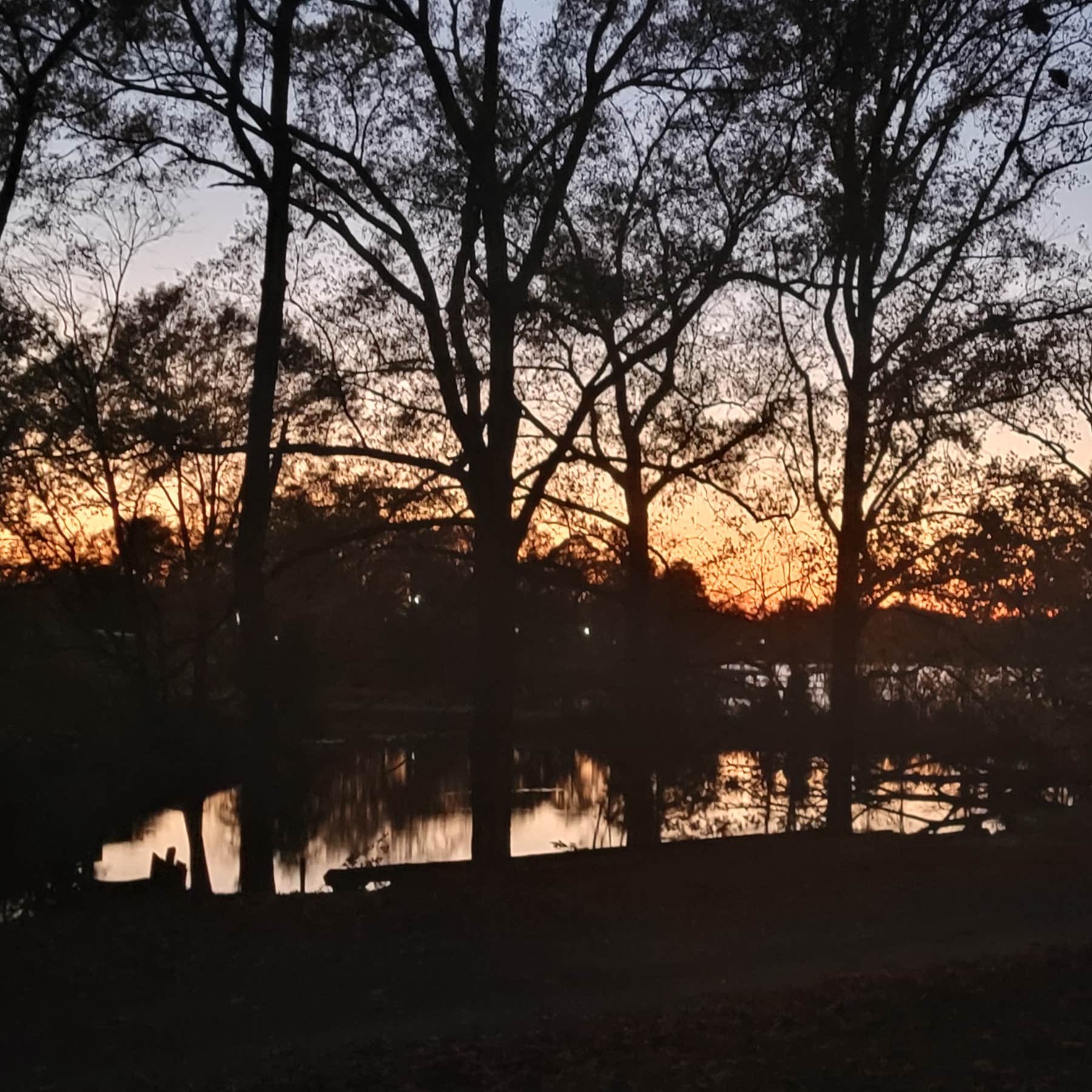 Thousand Trails Harbor View Camping | Colonial Beach, Virginia