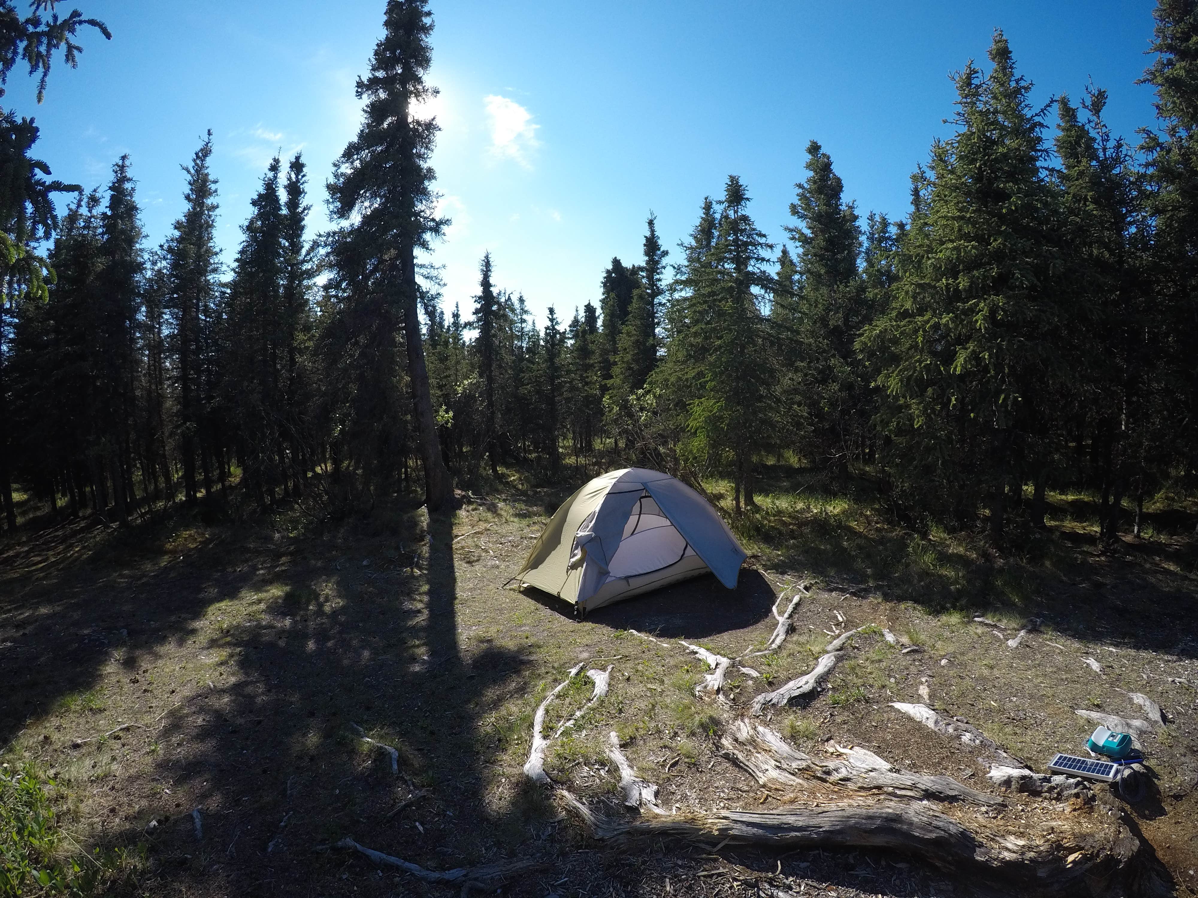 Savage River Campground — Denali National Park | Denali National Park ...
