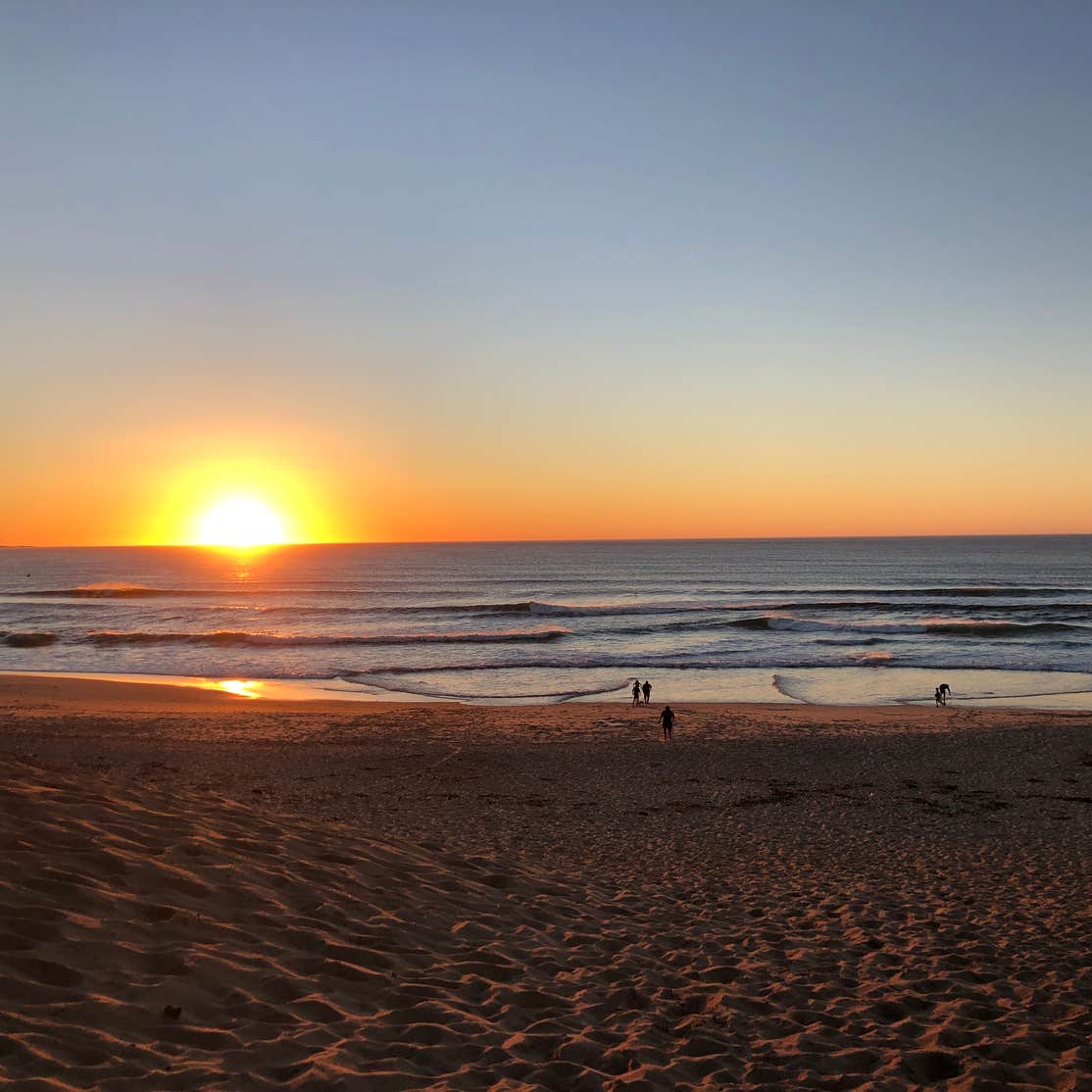 Marina Dunes RV Park Camping | The Dyrt