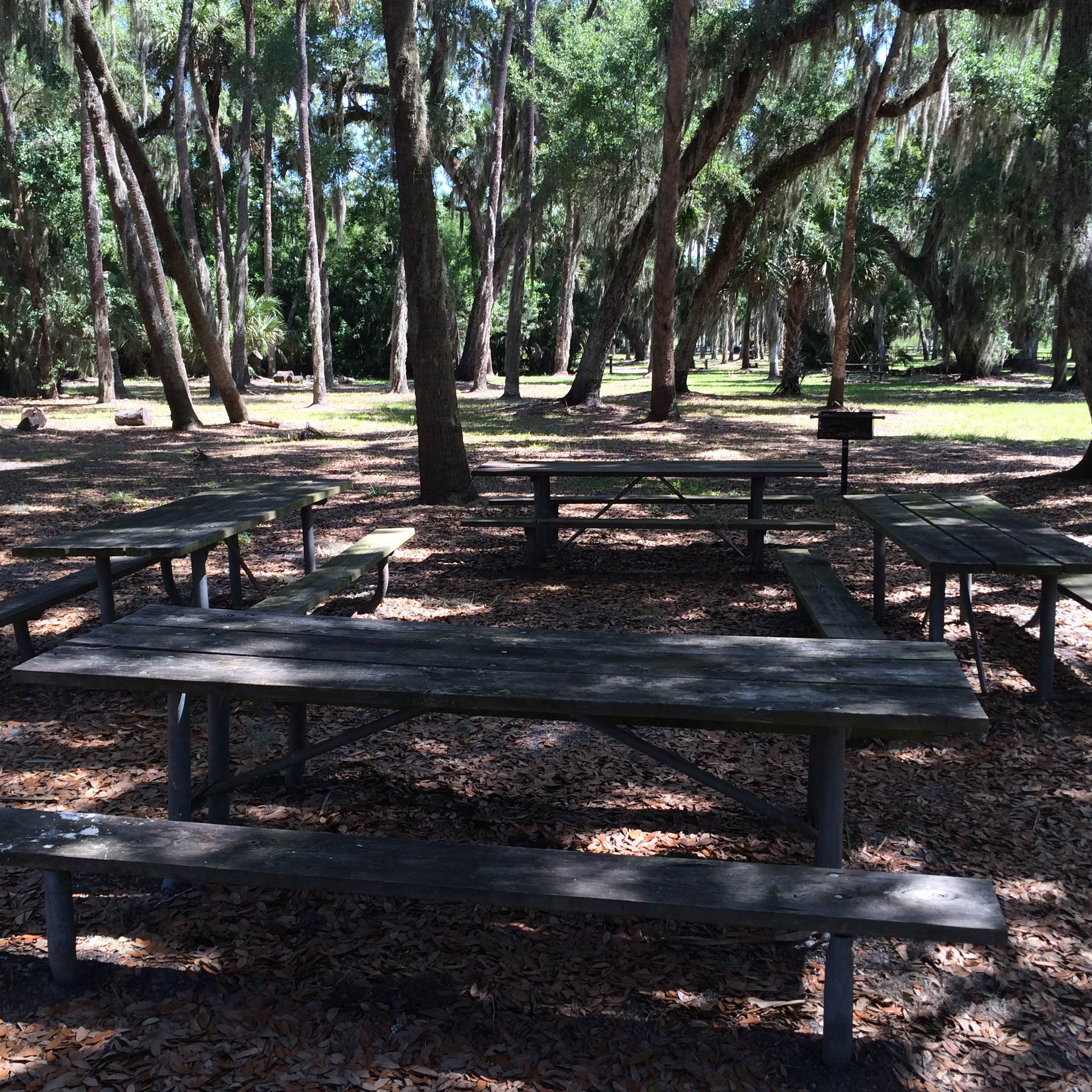 Mullet Lake Park Camping | The Dyrt