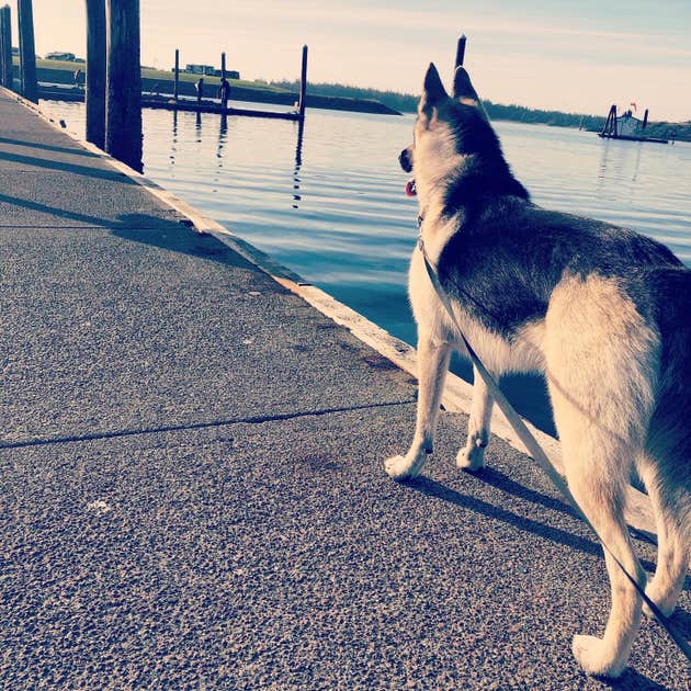 Salmon Harbor RV Park | Reedsport, Oregon