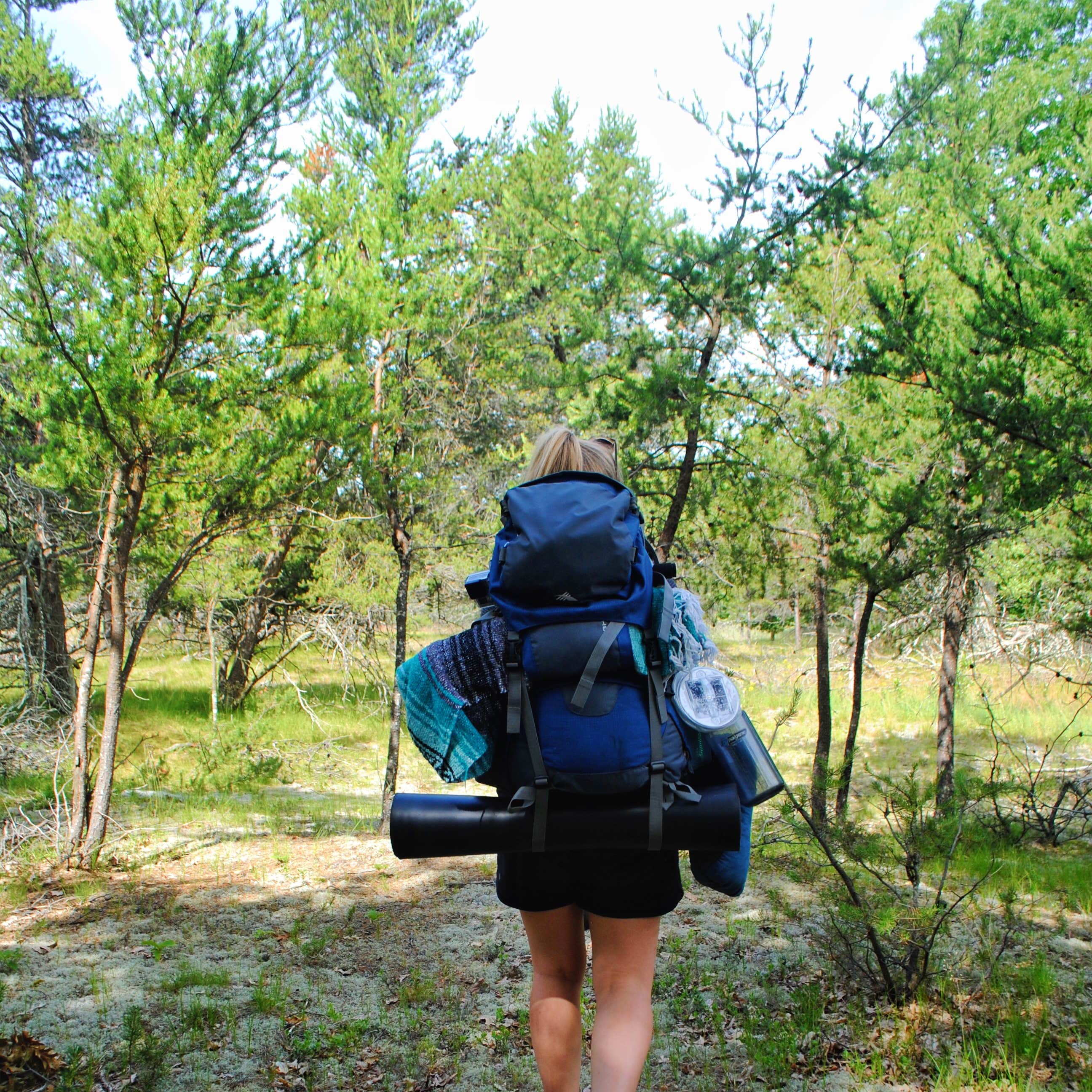 White Pine Canoe SF Campground Camping | The Dyrt