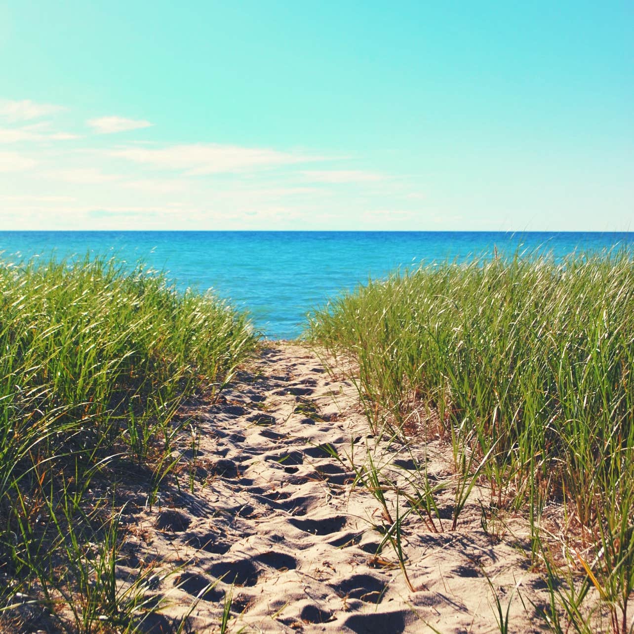 White Pine Canoe SF Campground | Luzerne, Michigan