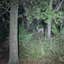 Jay B. Starkey Wilderness Park Camping | New Port Richey, Florida