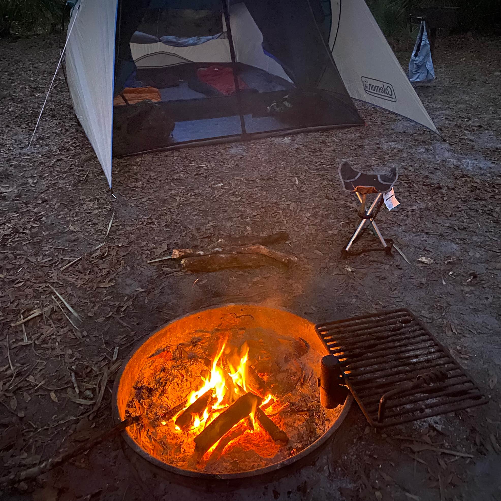 Jay B. Starkey Wilderness Park Camping | New Port Richey, Florida