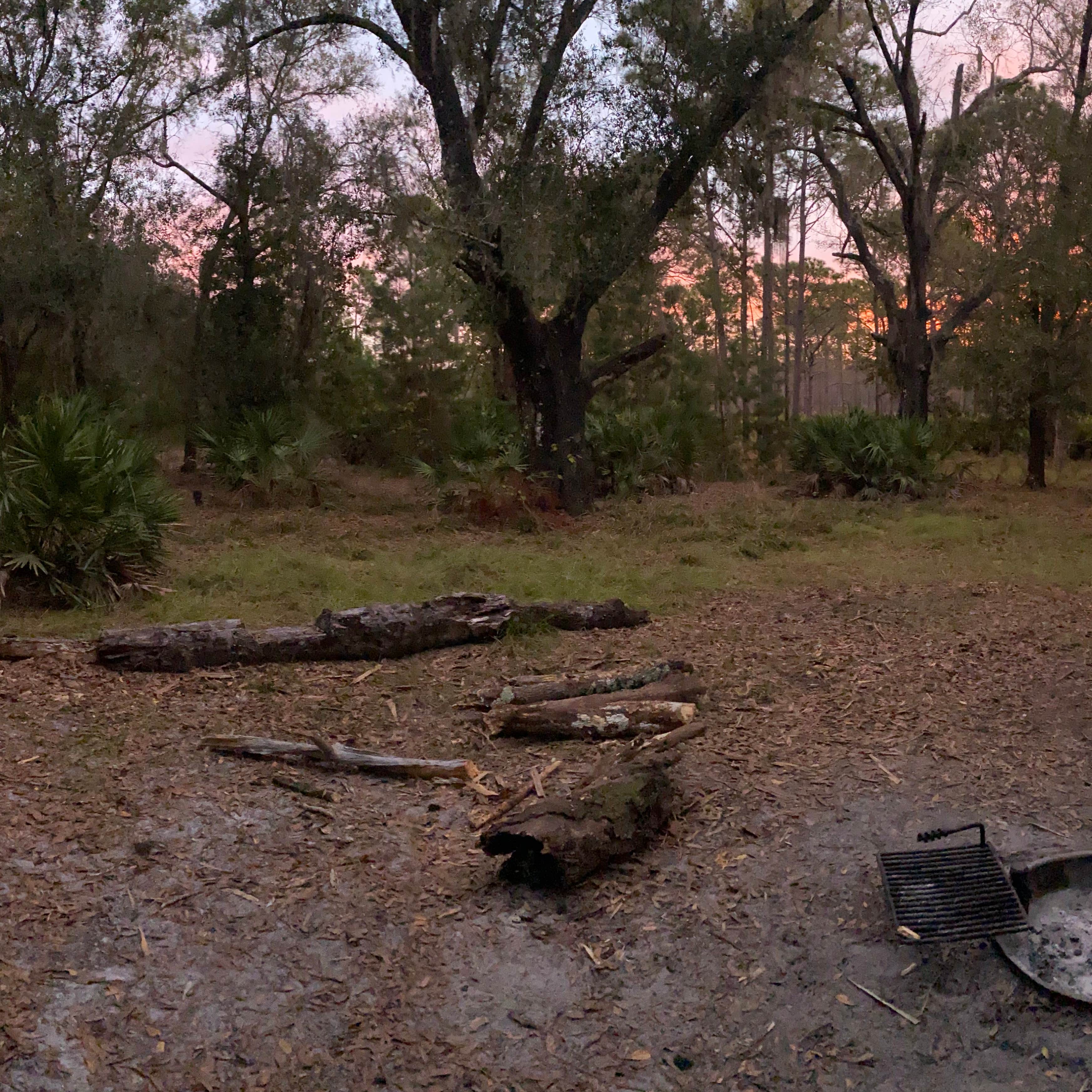 Jay B. Starkey Wilderness Park Camping | New Port Richey, Florida