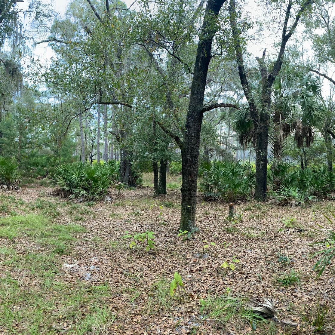 Jay B. Starkey Wilderness Park Camping | New Port Richey, FL
