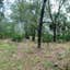 Jay B. Starkey Wilderness Park Camping | New Port Richey, Florida