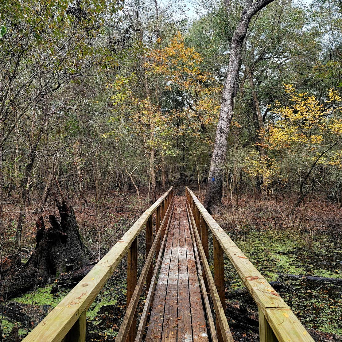 Hart Springs Park Camping | Fanning Springs, Florida
