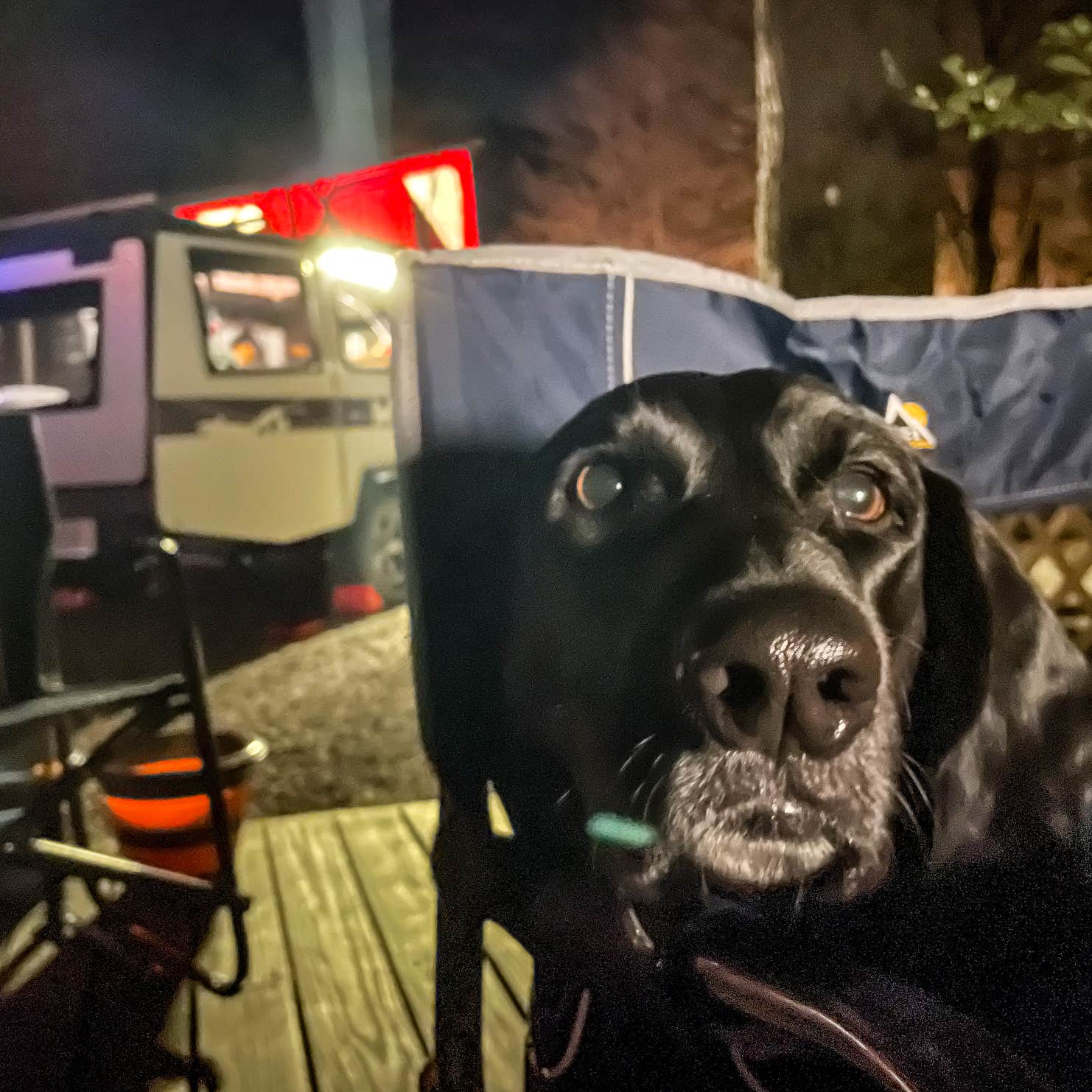 Mountain Stream RV Park | Pisgah National Forest, North Carolina