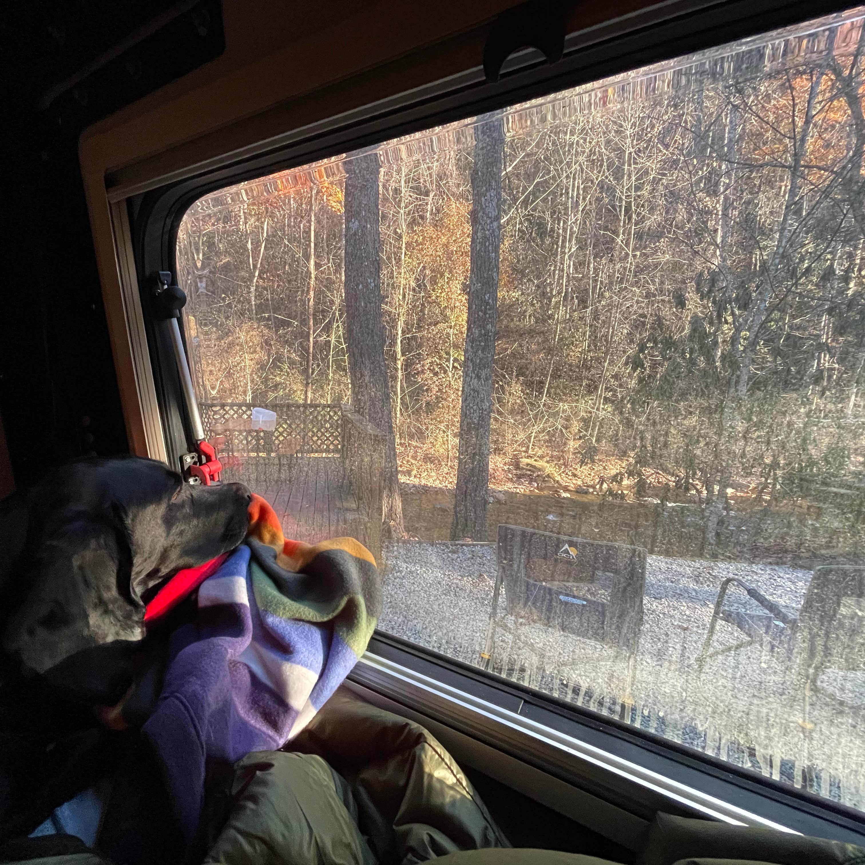 Mountain Stream RV Park | Pisgah National Forest, North Carolina