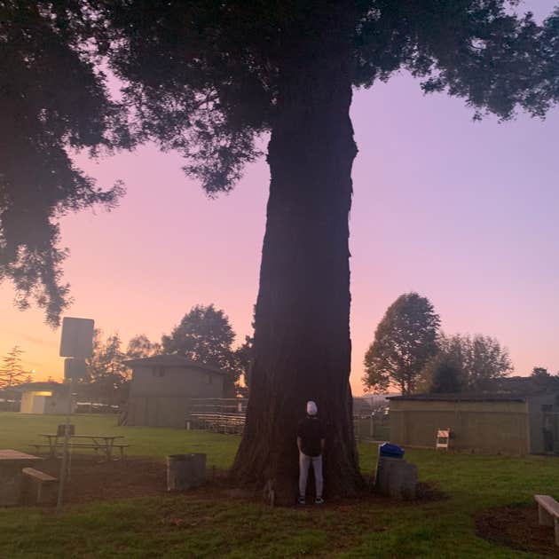 Pinto Lake City Park Camping | Watsonville, CA